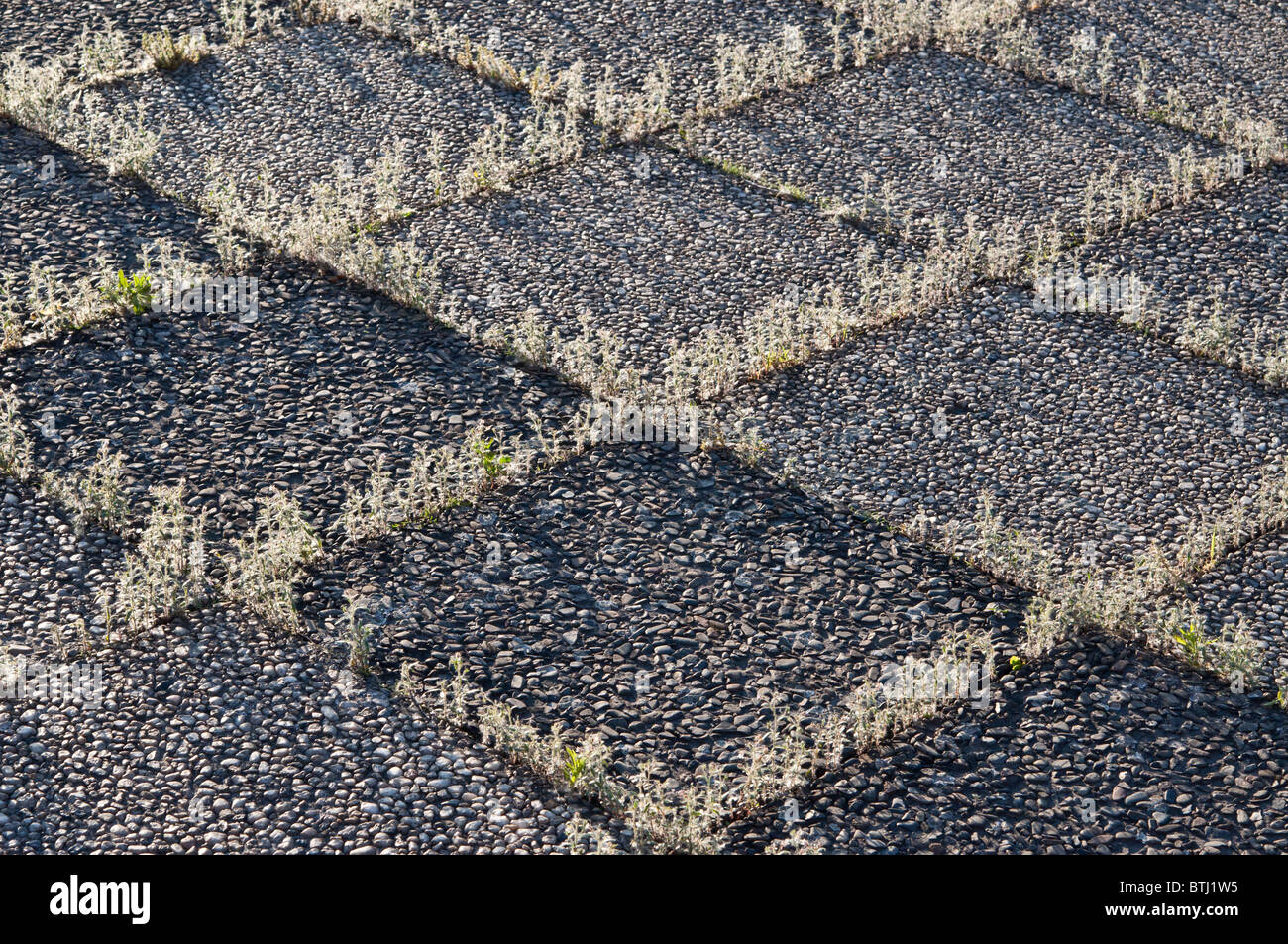 Flagstone floor hi-res stock photography and images - Alamy