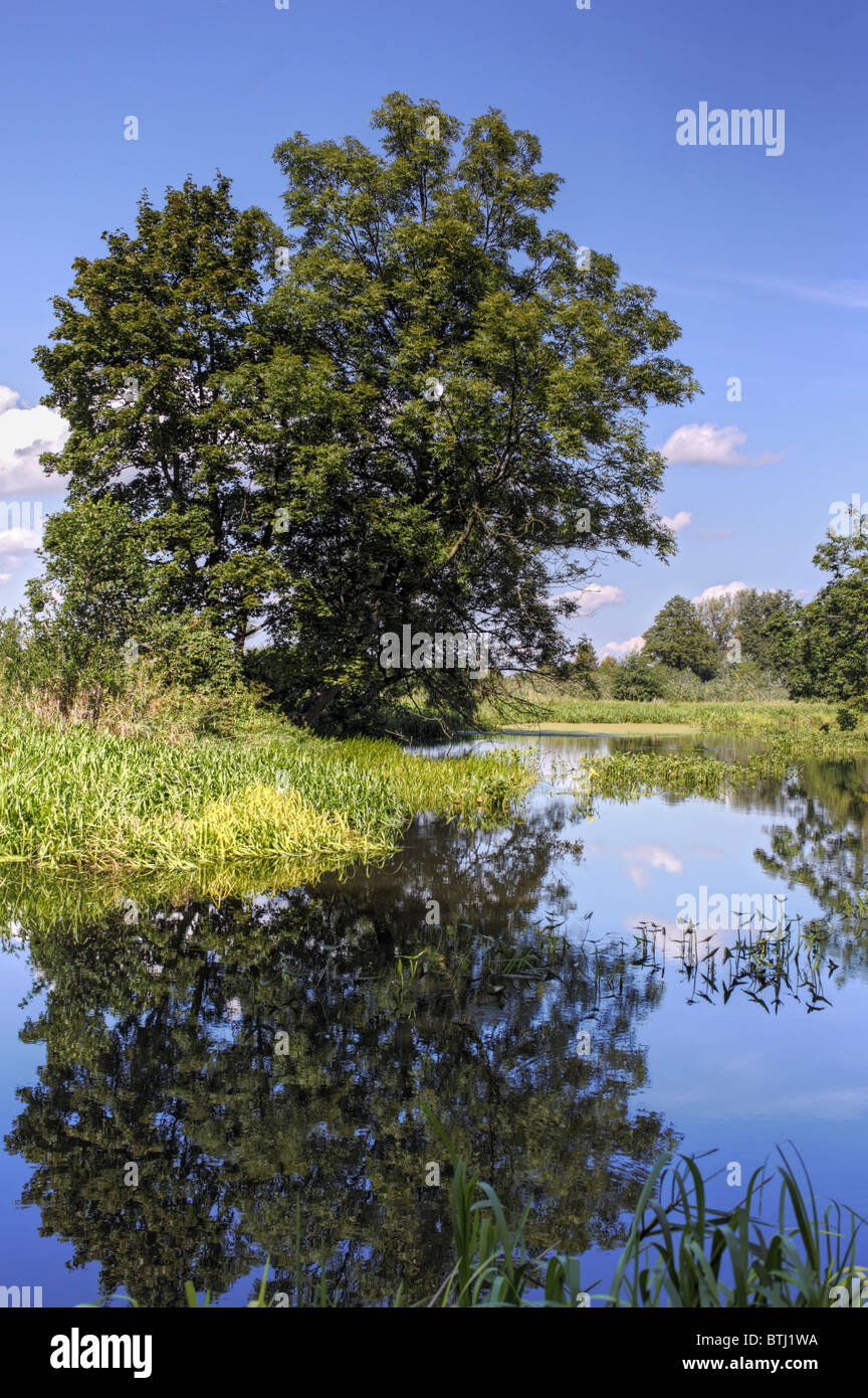 Arkadia park, Lowicz county, Lodz Voivodeship, Poland Stock Photo - Alamy