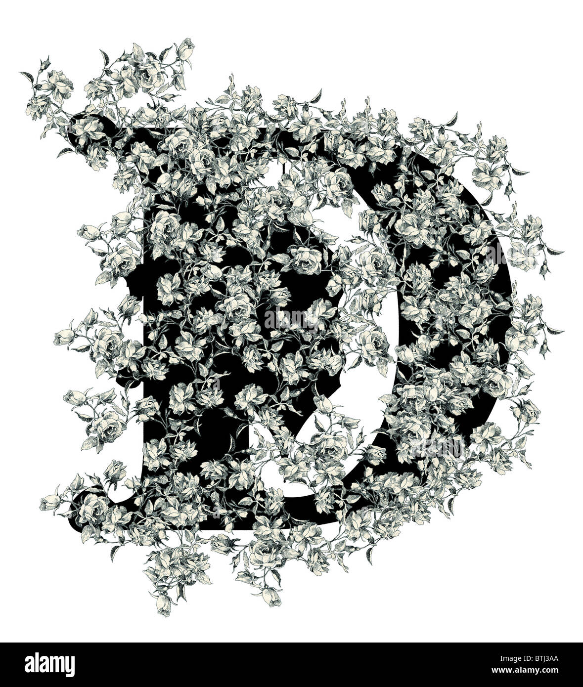 Luxuriously illustrated old capital letter D with flowers Stock Photo ...
