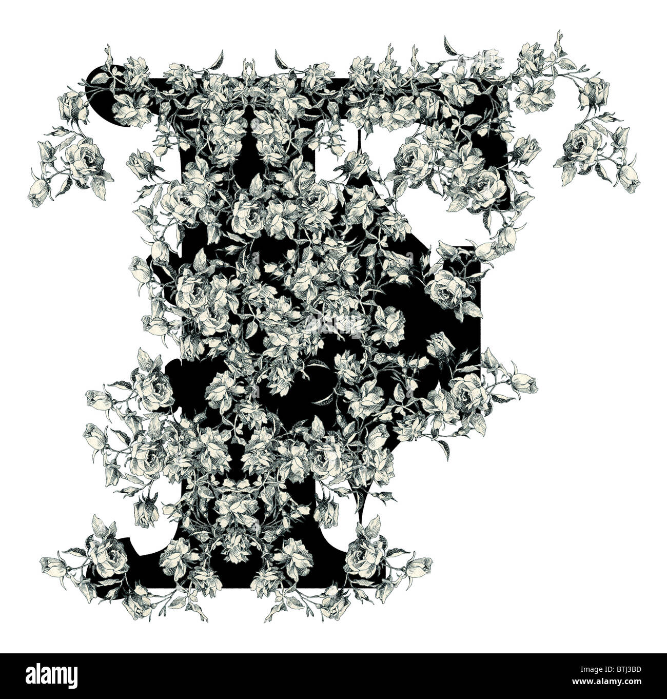 Luxuriously illustrated old capital letter F with flowers Stock Photo ...