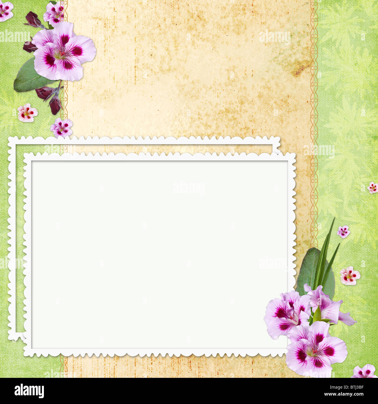Summer background with frame Stock Photo - Alamy
