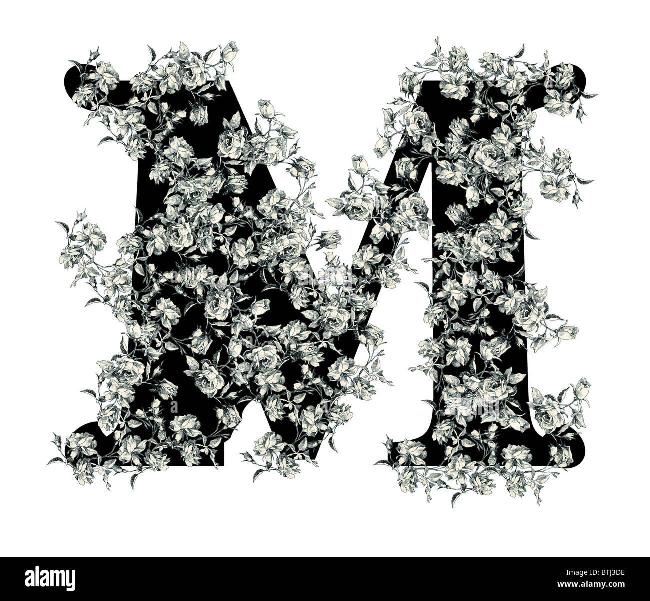Luxuriously illustrated old capital letter M with flowers Stock Photo ...