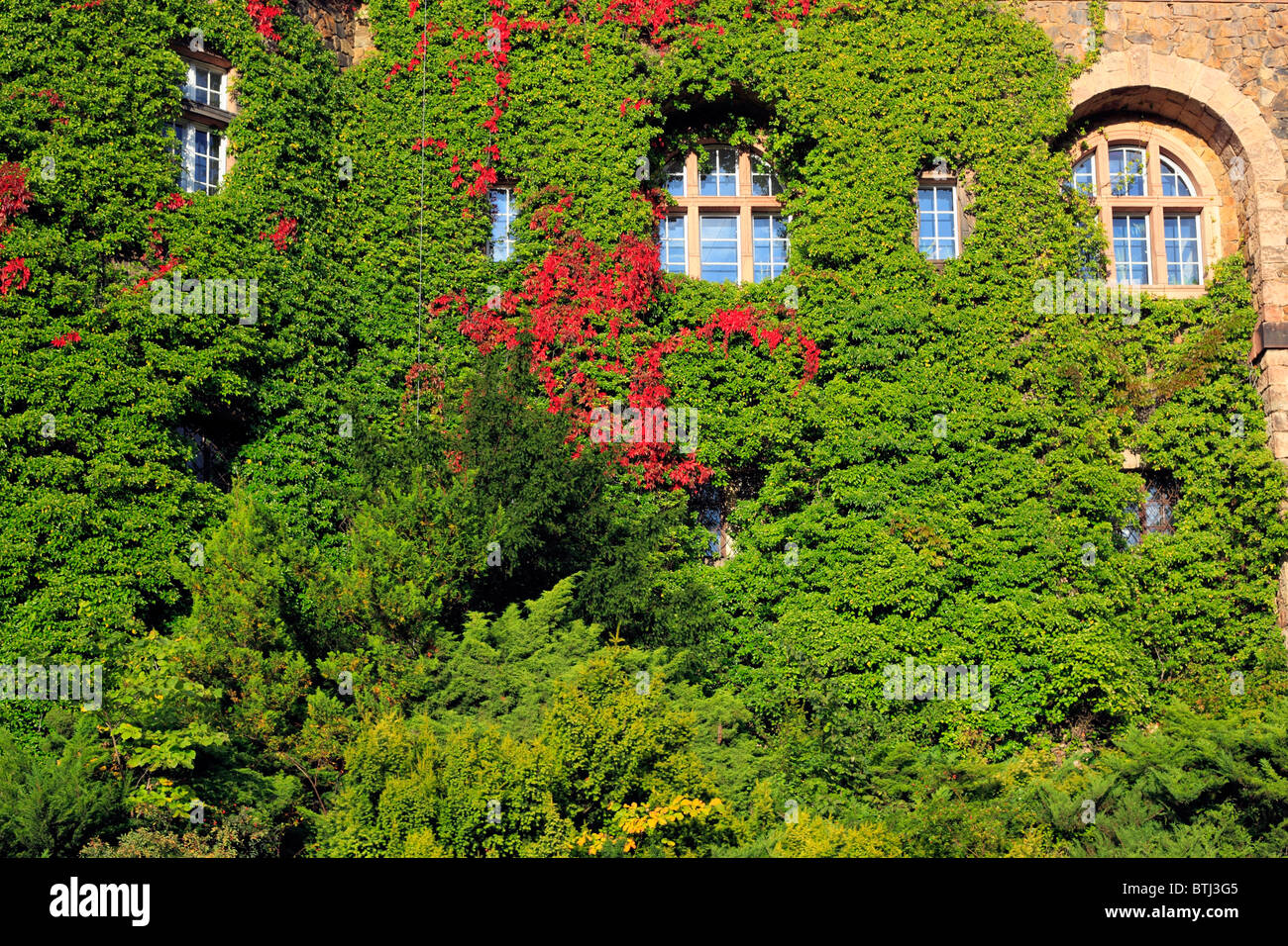 Ksiaz (Schloss Furstenstein) castle, Silesia, Poland Stock Photo - Alamy