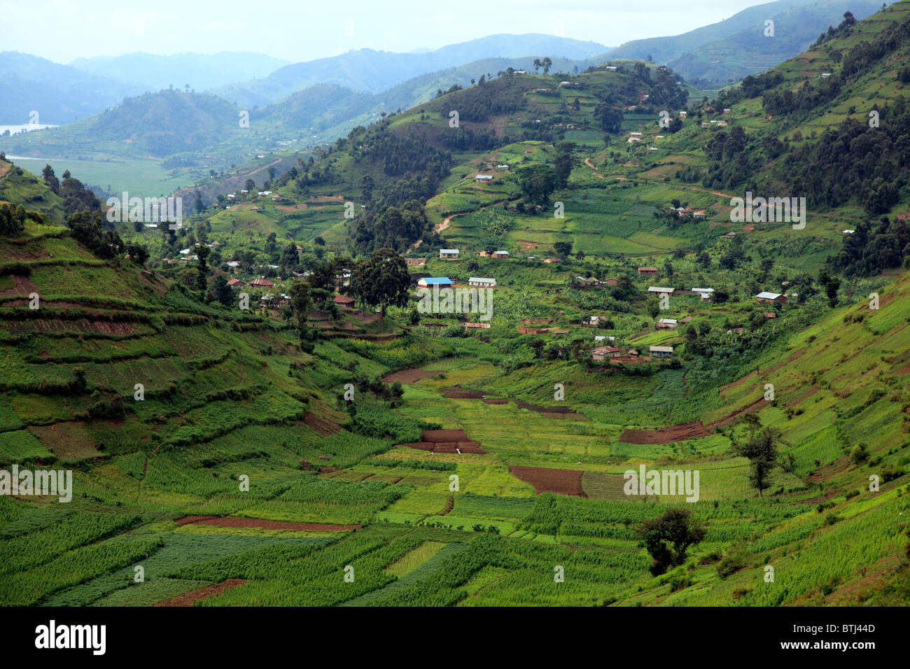 Landscape, near Kisoro, Uganda Stock Photo - Alamy