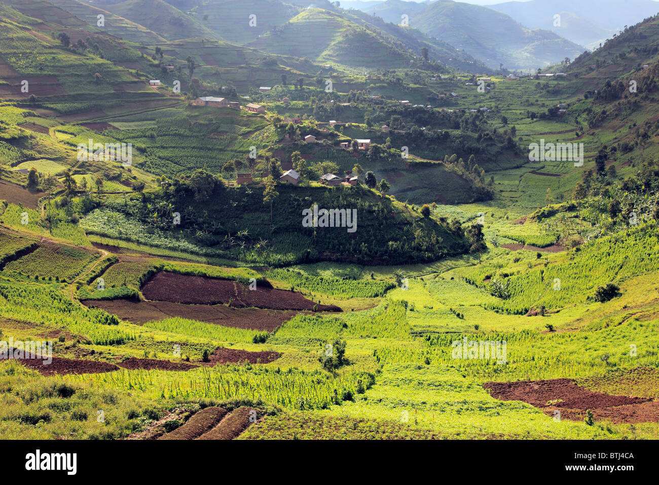 Landscape, near Kisoro, Uganda Stock Photo - Alamy