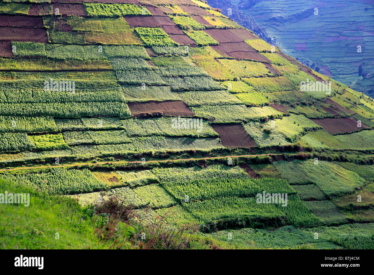 Kisoro hi-res stock photography and images - Alamy