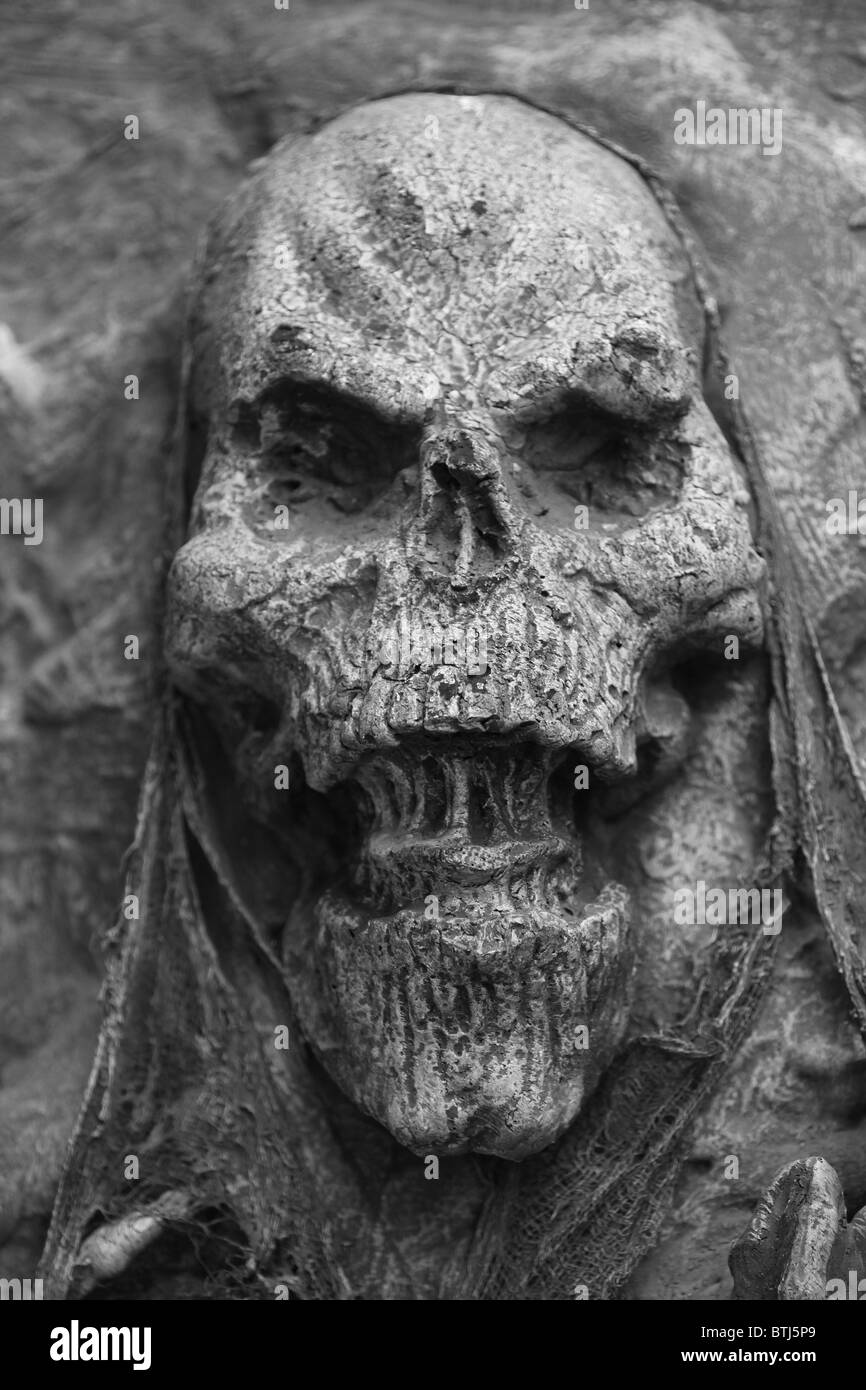 Face bones hi-res stock photography and images - Alamy