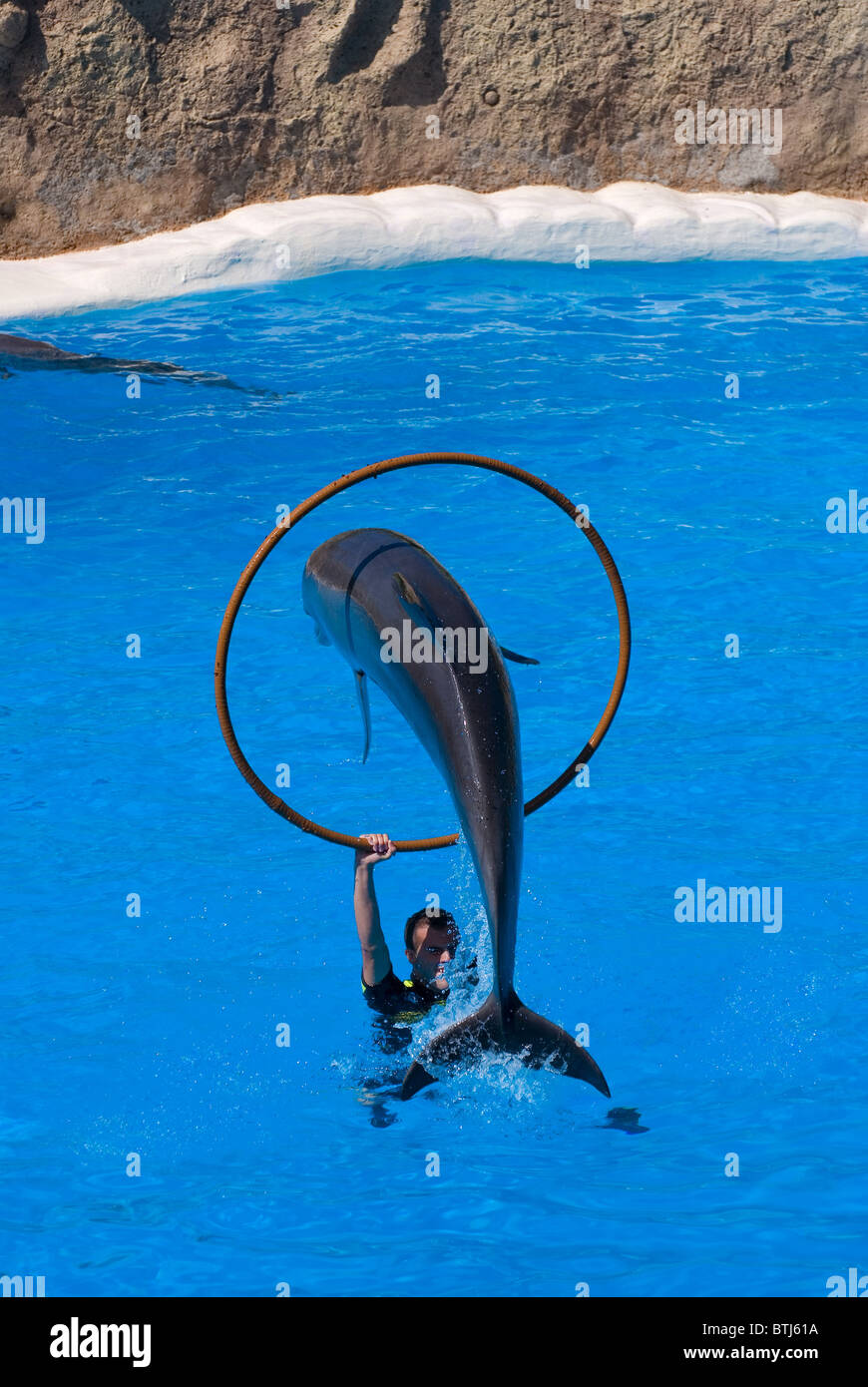Dolphin jump circle hi-res stock photography and images - Alamy