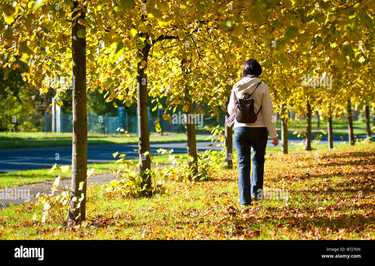 Women walking through Autumn trees Stock Photo - Alamy