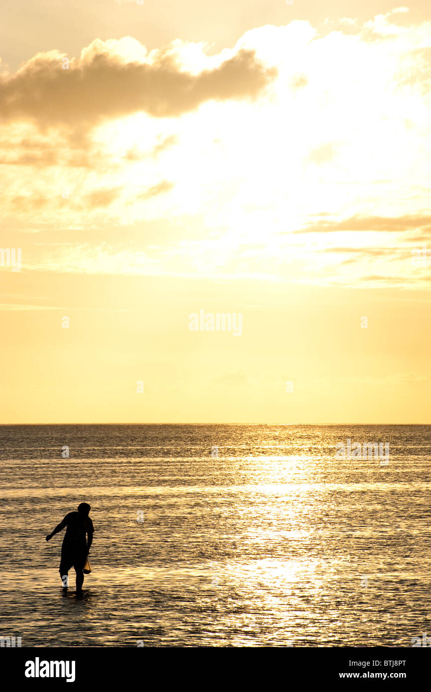 Dusk fishing, Fiji Stock Photo - Alamy