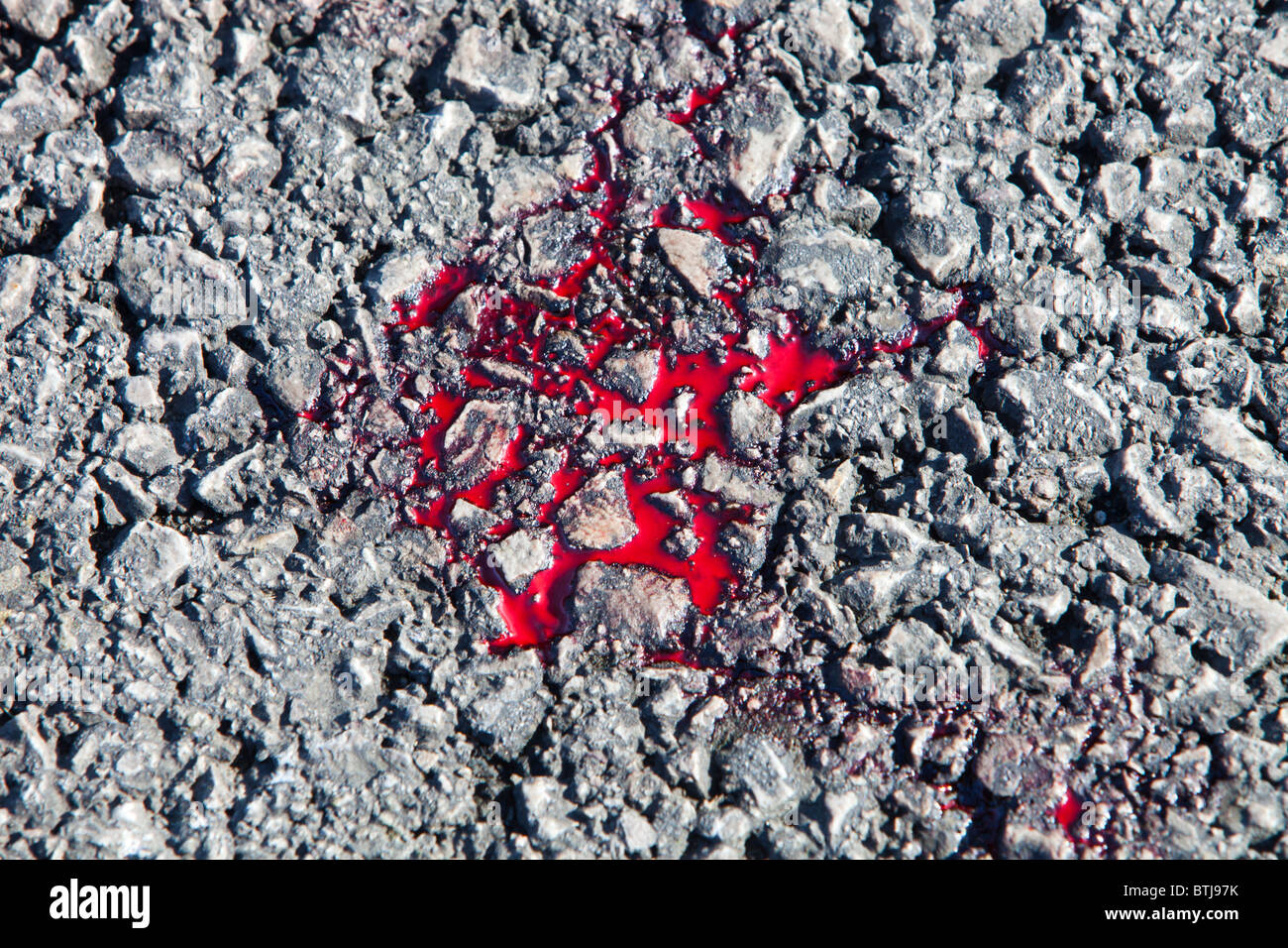 Blood on a tarmac road Stock Photo - Alamy
