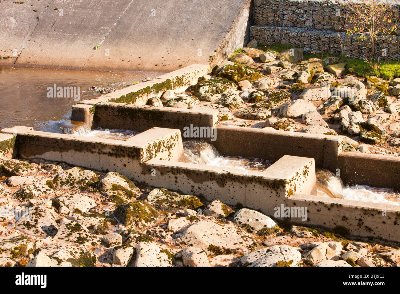 Fish ladder hi-res stock photography and images - Alamy