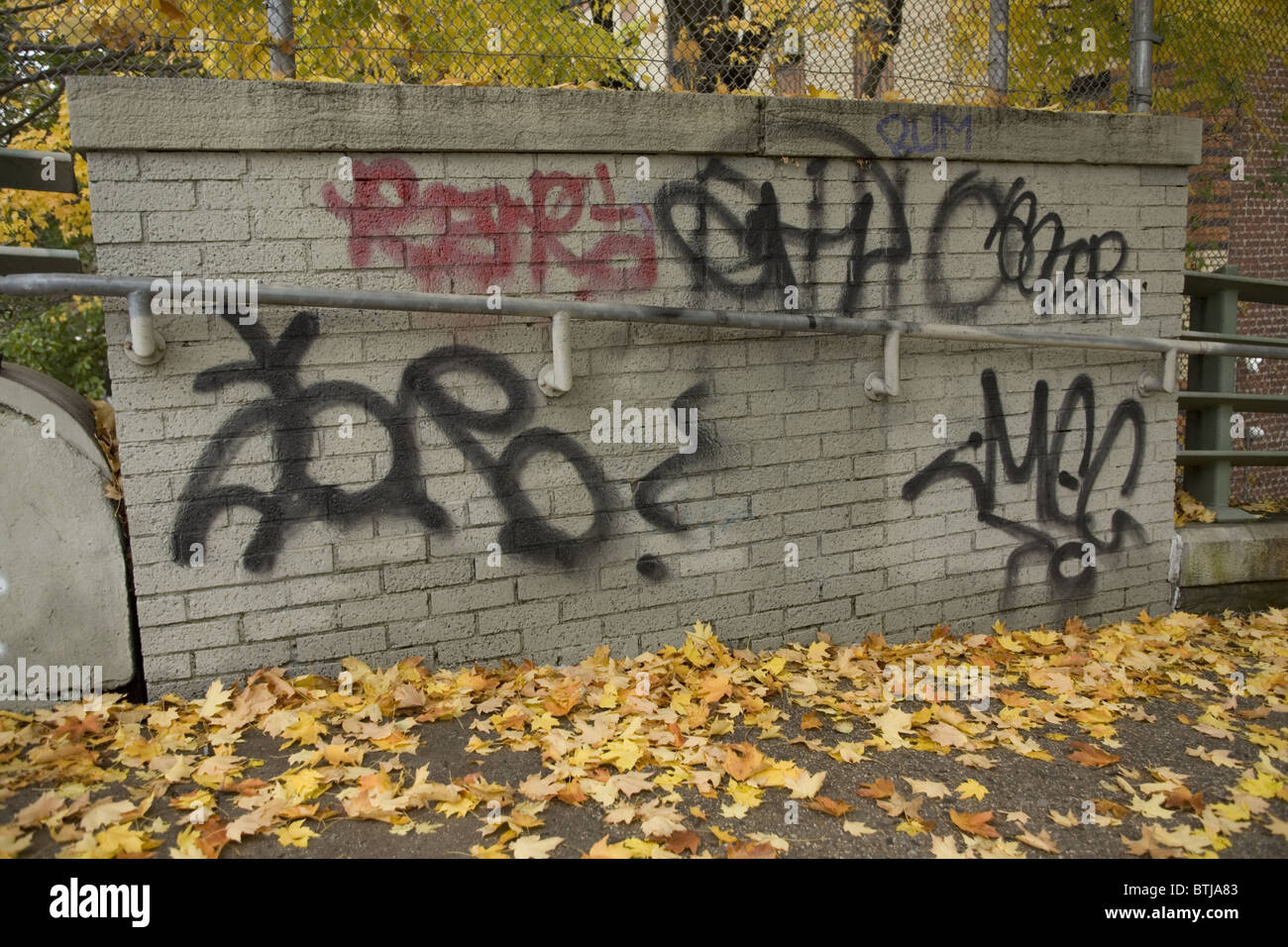 Autumn graffiti, Brooklyn, New York Stock Photo - Alamy