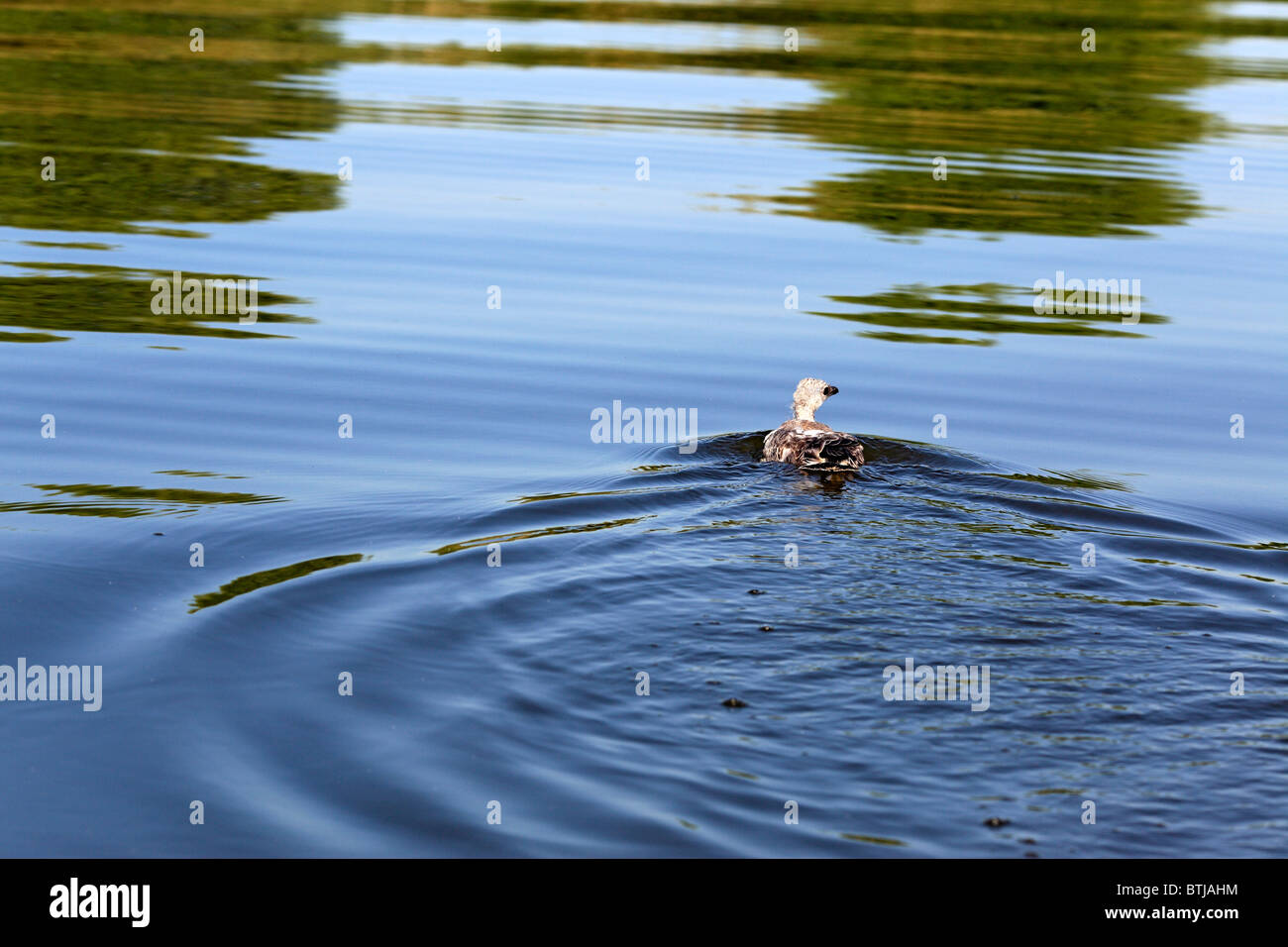 Lake Nero, Rostov, Yaroslavl region, Russia Stock Photo - Alamy