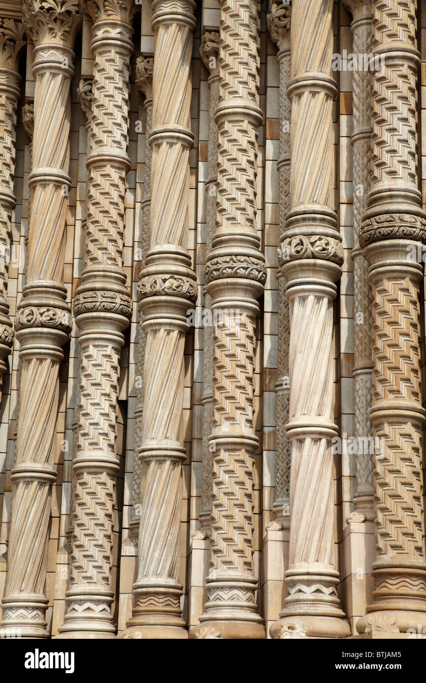 Ornate columns on the exterior of the Natural History Museum, London, England, United Kingdom ...