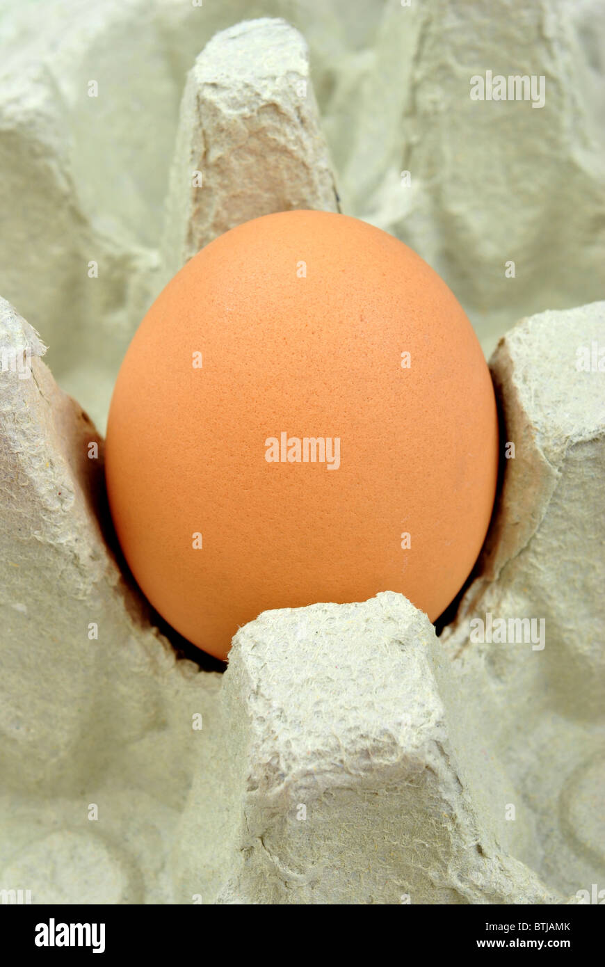 Egg transport hi-res stock photography and images - Alamy