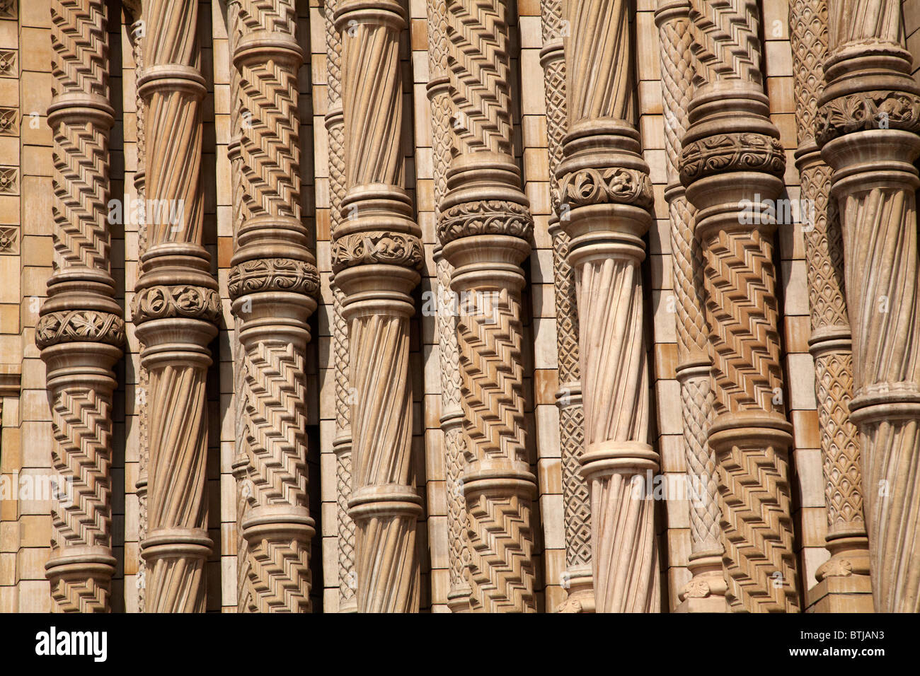 Ornate columns on the exterior of the natural history museum hi-res ...