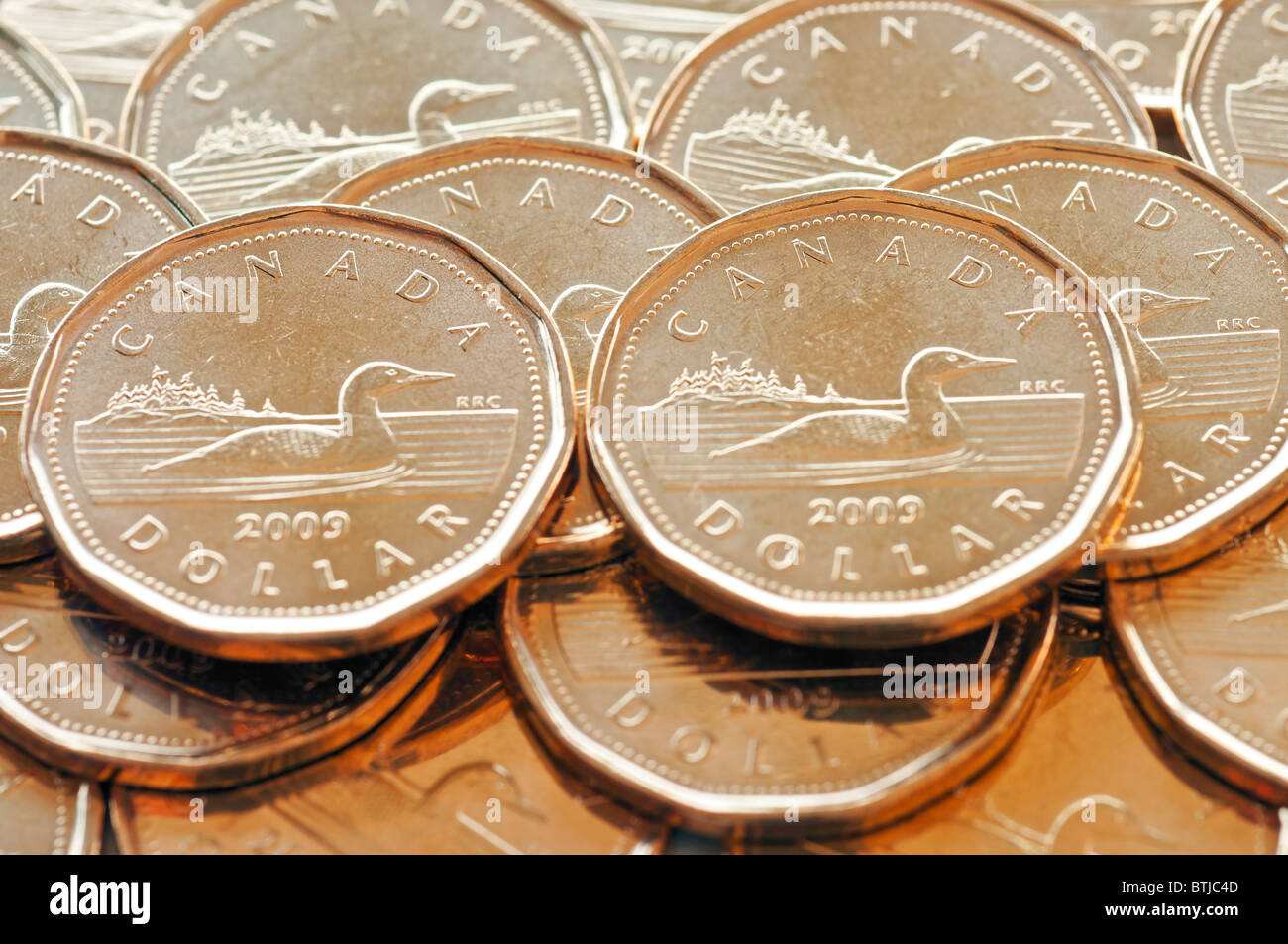 A high angle close-up view of Canadian one dollar coins, commonly known ...