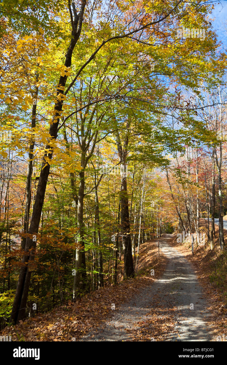 Spring in west virginia hi-res stock photography and images - Alamy