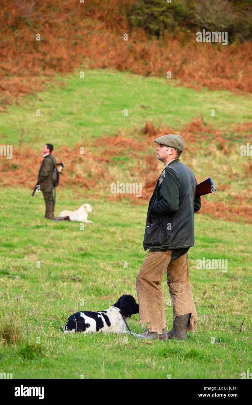 Isle of Anglesey, North Wales, UK, Europe. Game bird shoot with men and ...