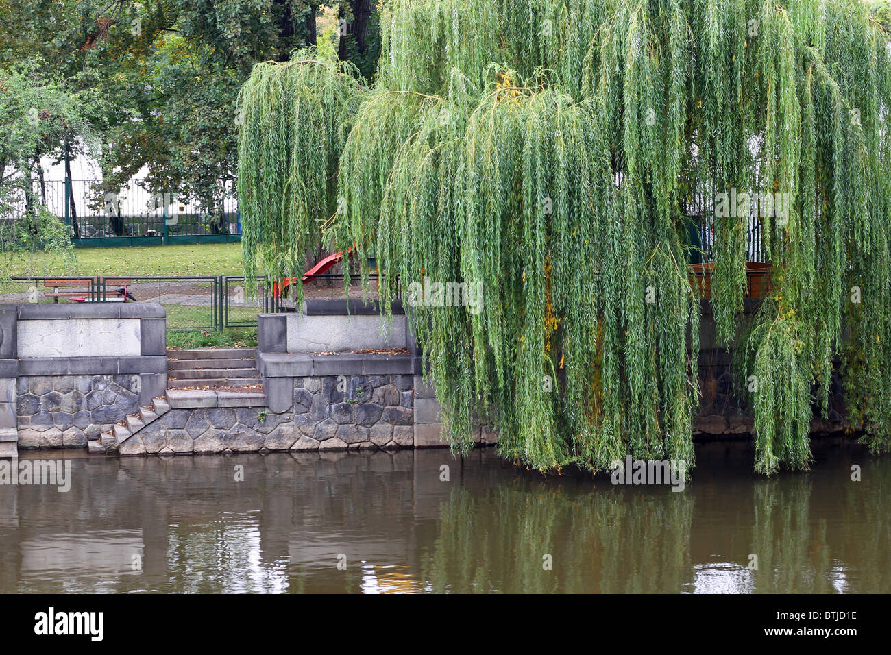 Weeping Willow Tree And Water High Resolution Stock Photography and ...
