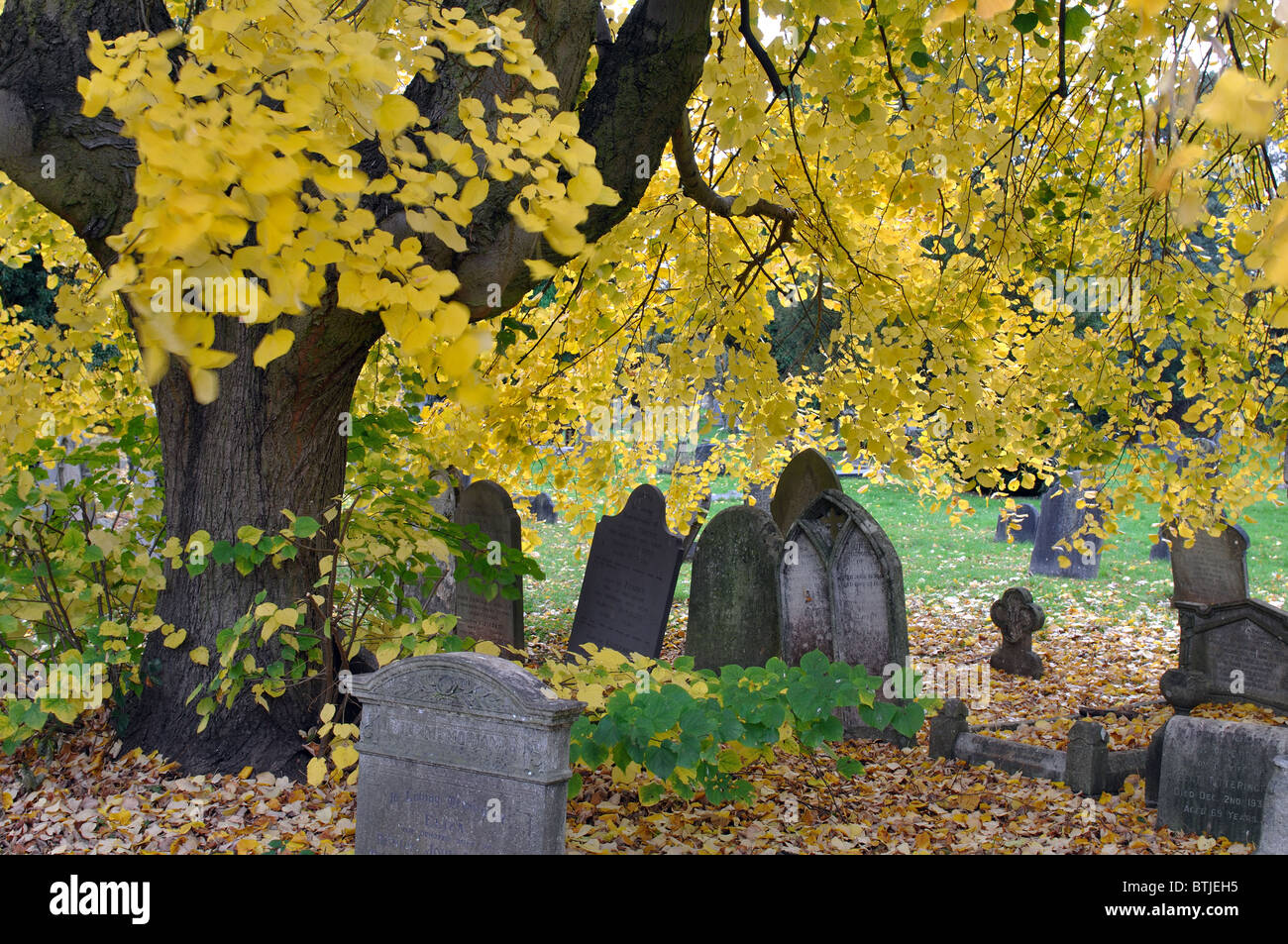 Coventry london road cemetery hi-res stock photography and images - Alamy