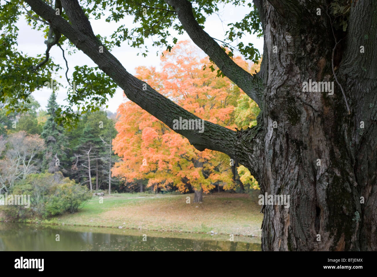 Fall in Connecticut New England USA Stock Photo - Alamy