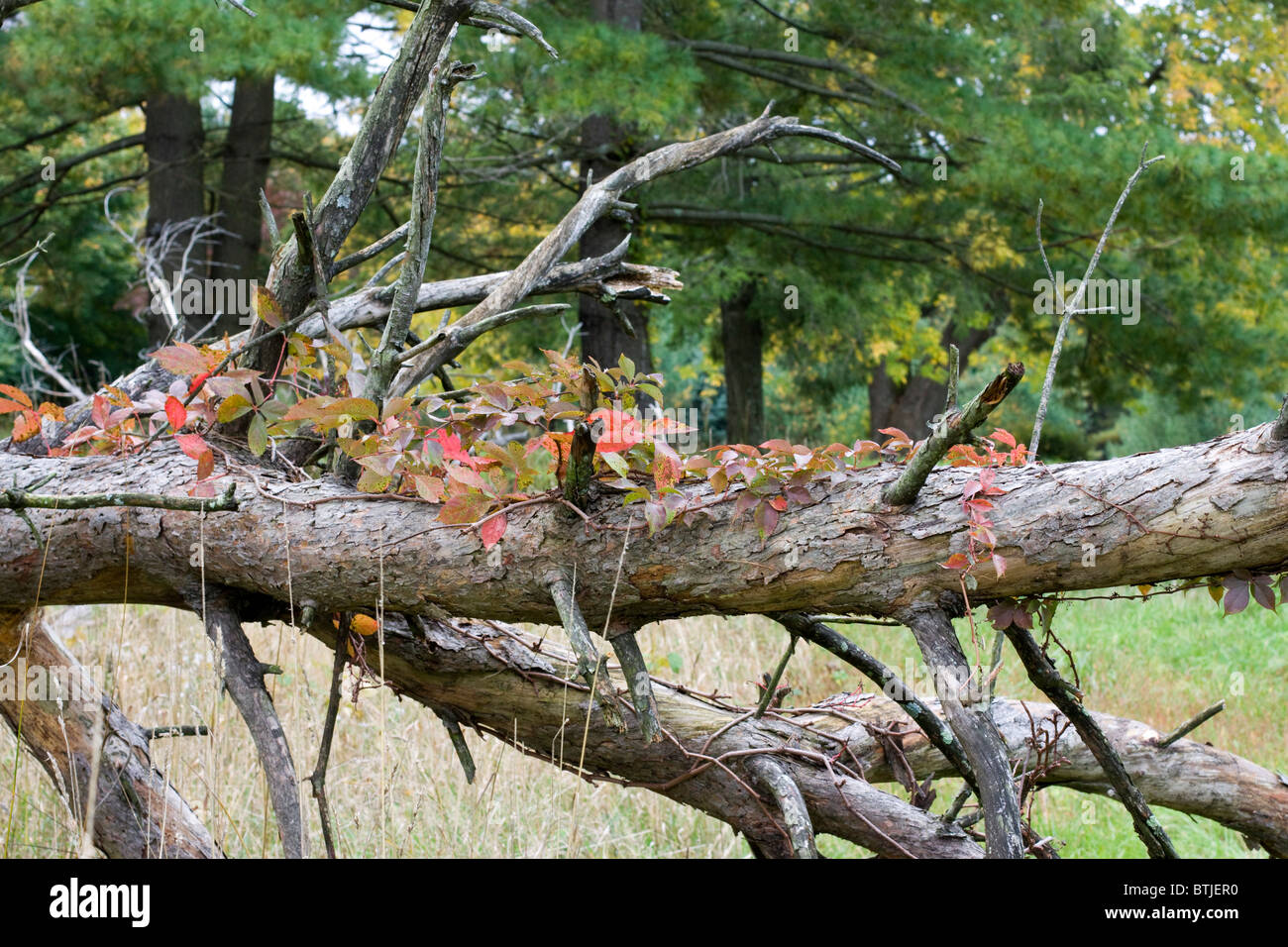 Connecticut natural beauty hi-res stock photography and images - Alamy