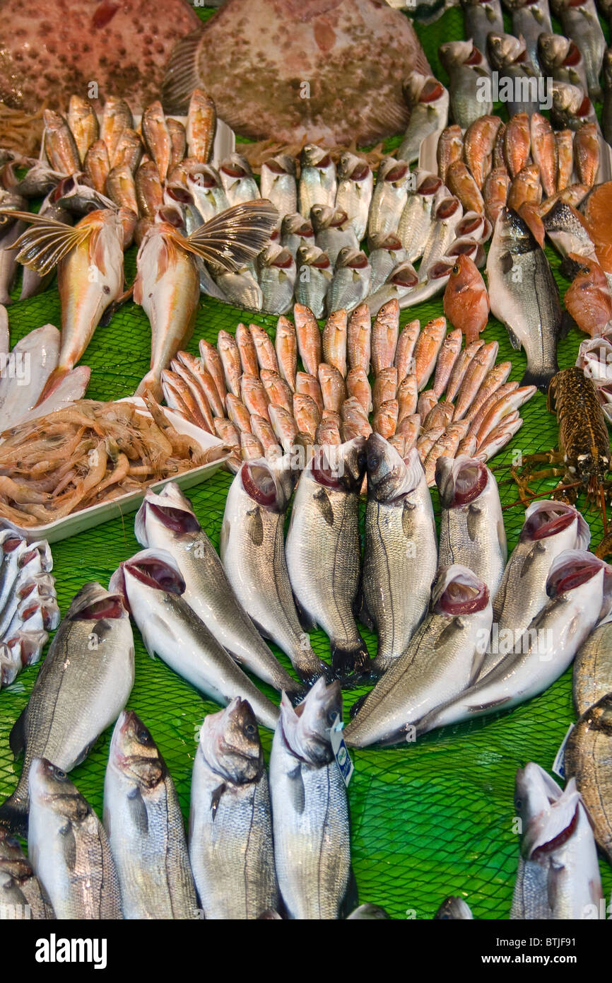 Various fishes on the bench in a fish shop Stock Photo - Alamy