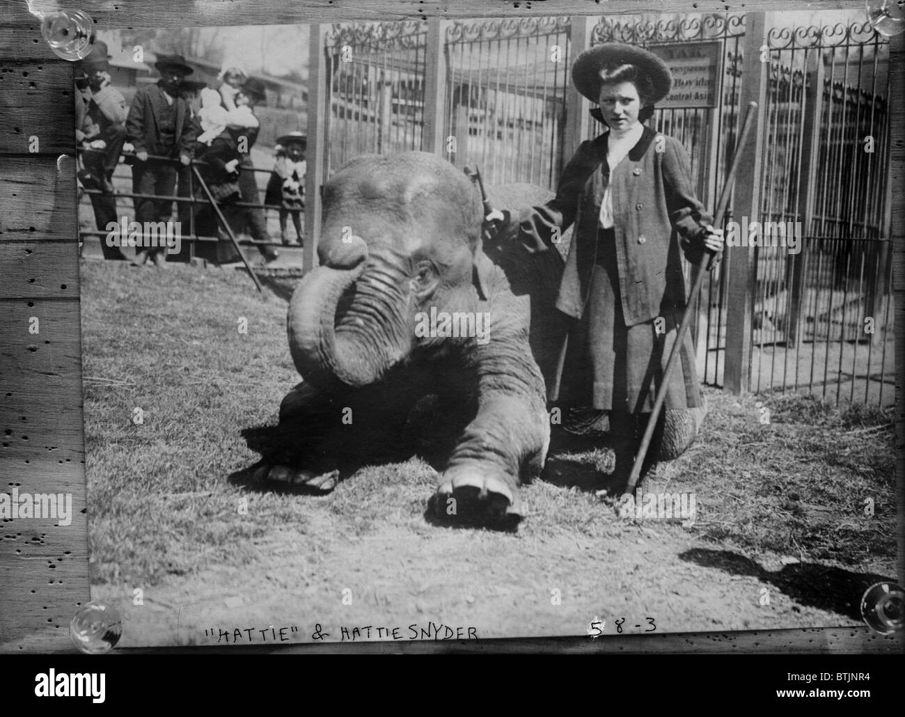 Hattie Snyder, elephant trainer, and Hattie the elephant, circa early ...