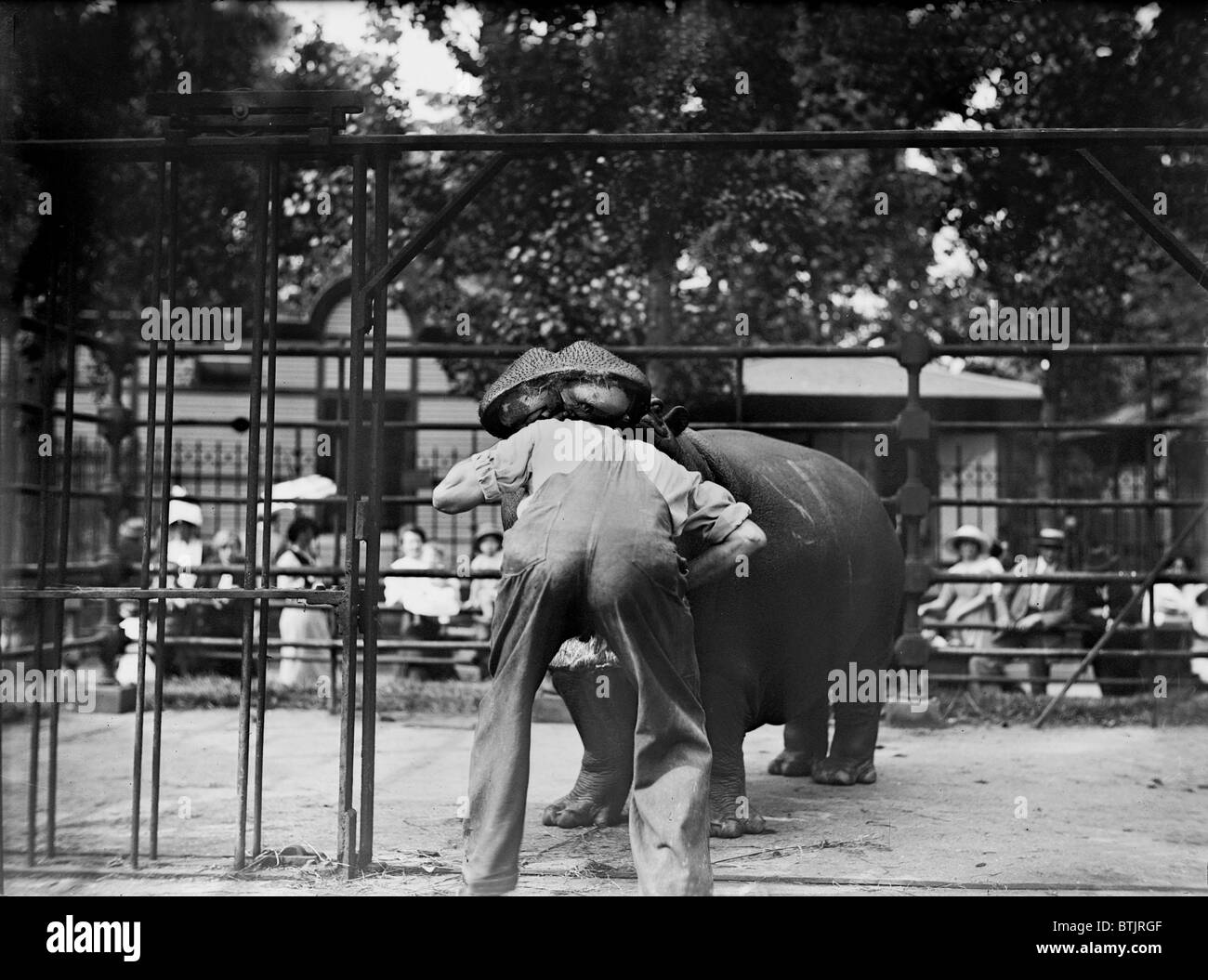 New York City, man with head in hippo's mouth, Central Park, circa ...