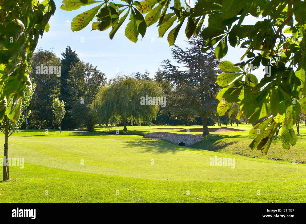 sunlight on the golf course Stock Photo - Alamy