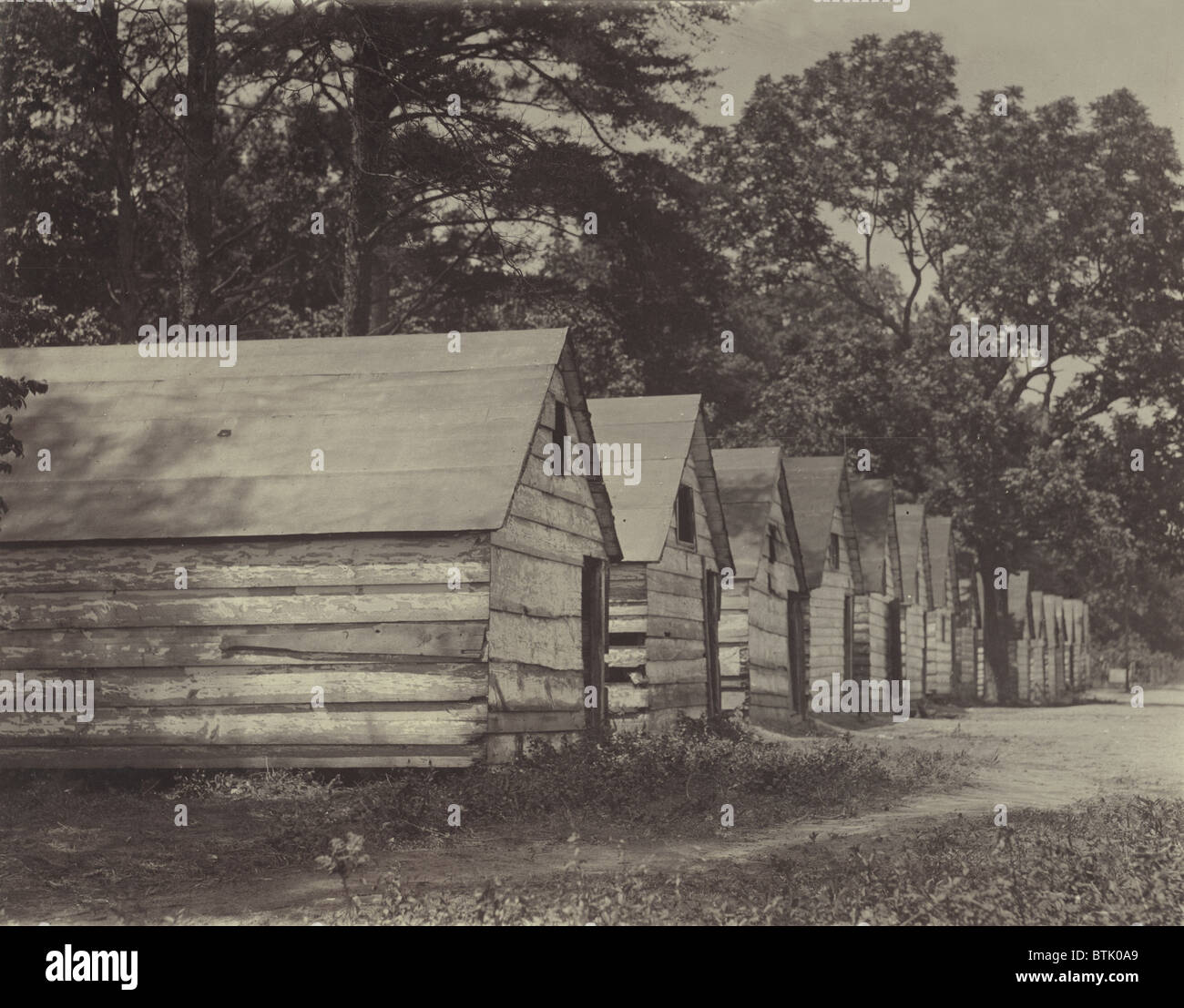 African American shacks, original caption: 'The negro berry pickers ...
