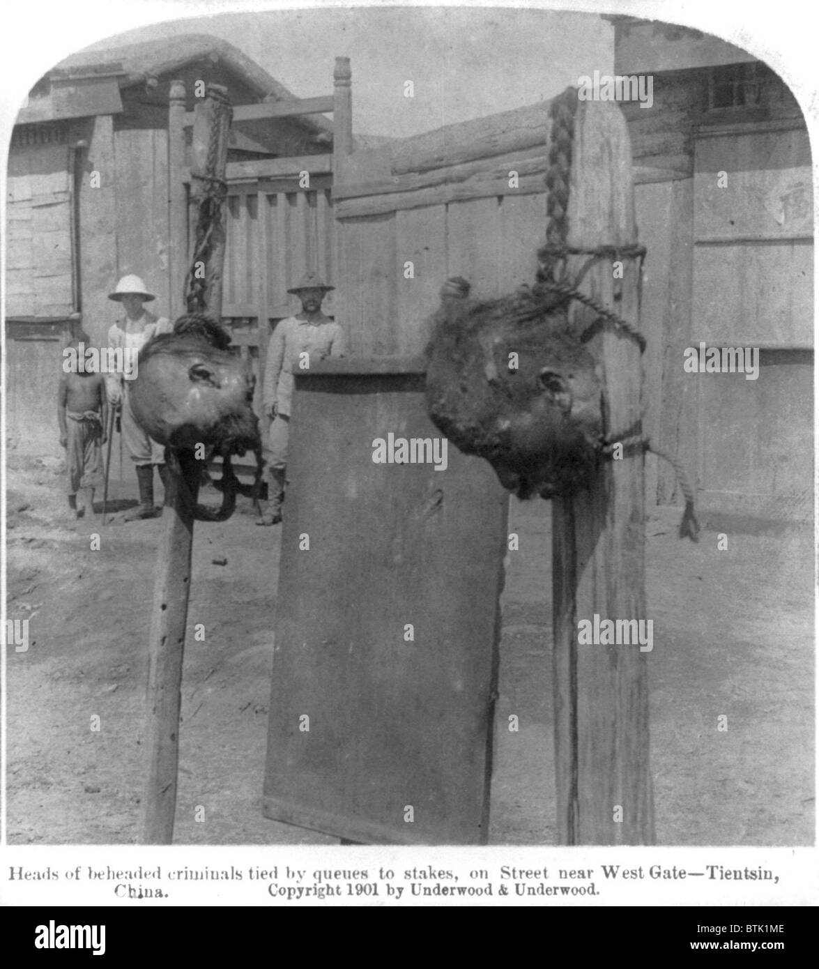 Boxer Rebellion, heads of beheaded criminals tied by queues to stakes ...