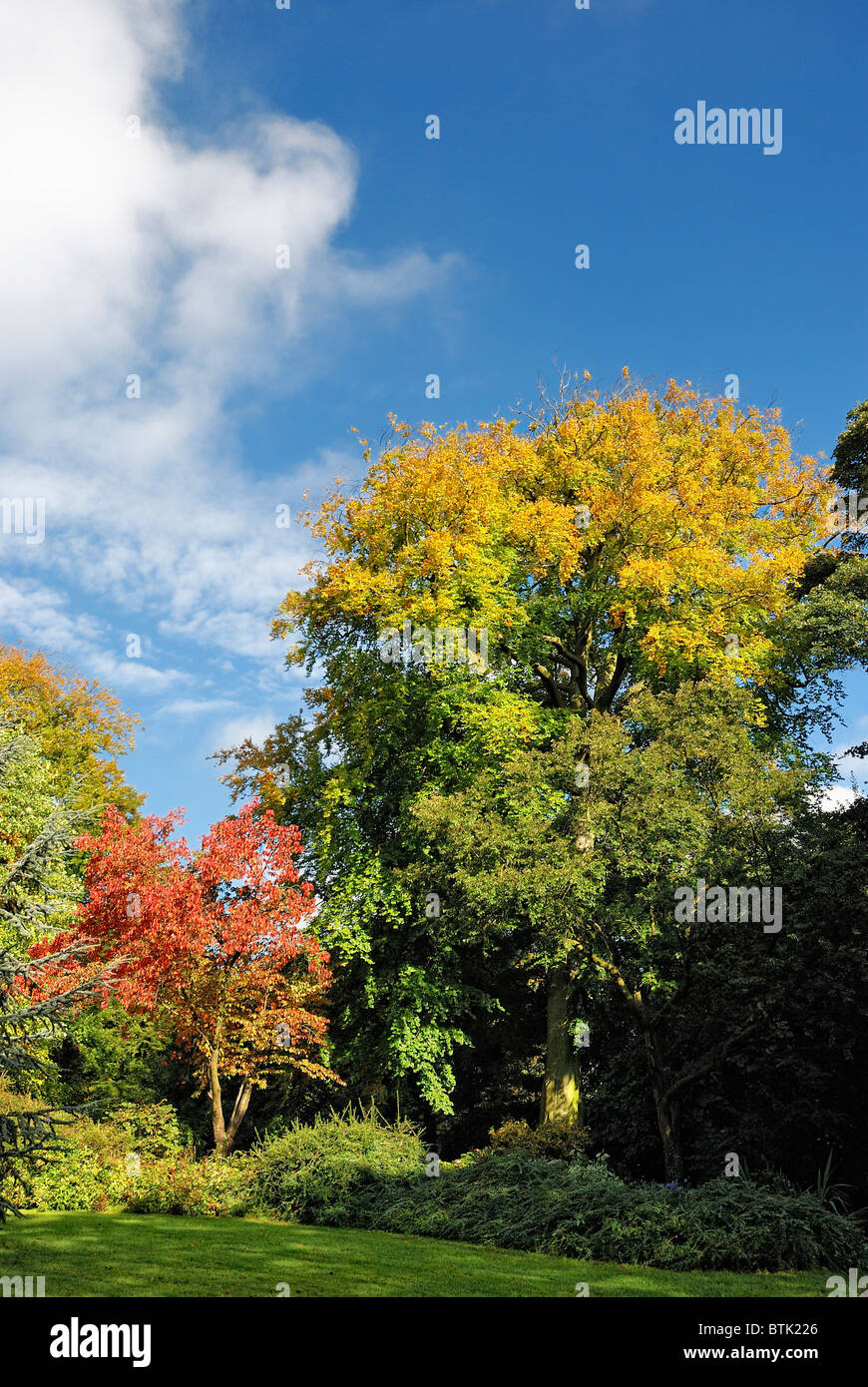 Colours england hi-res stock photography and images - Alamy