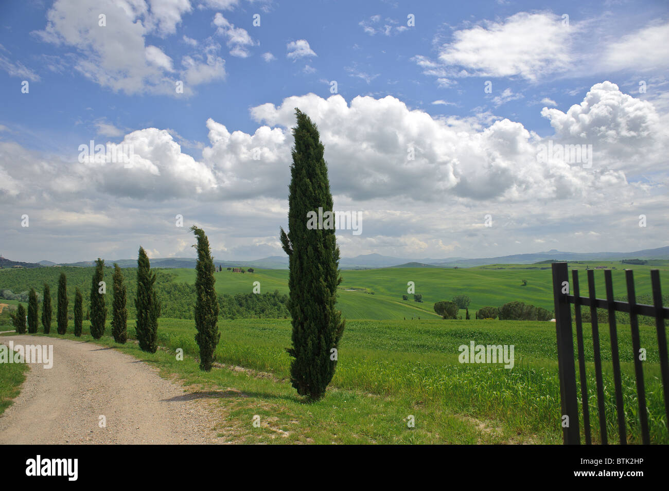 italy tuscany countryside tuscan landscape farmland rolling hills grain ...