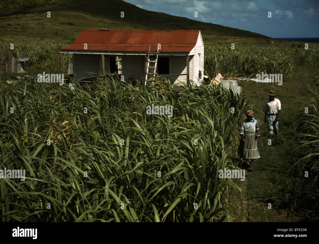 Puerto Rico. Tenant farmers by their house, Puerto Rico. Photograph by Jack Delano, 1941 Stock ...