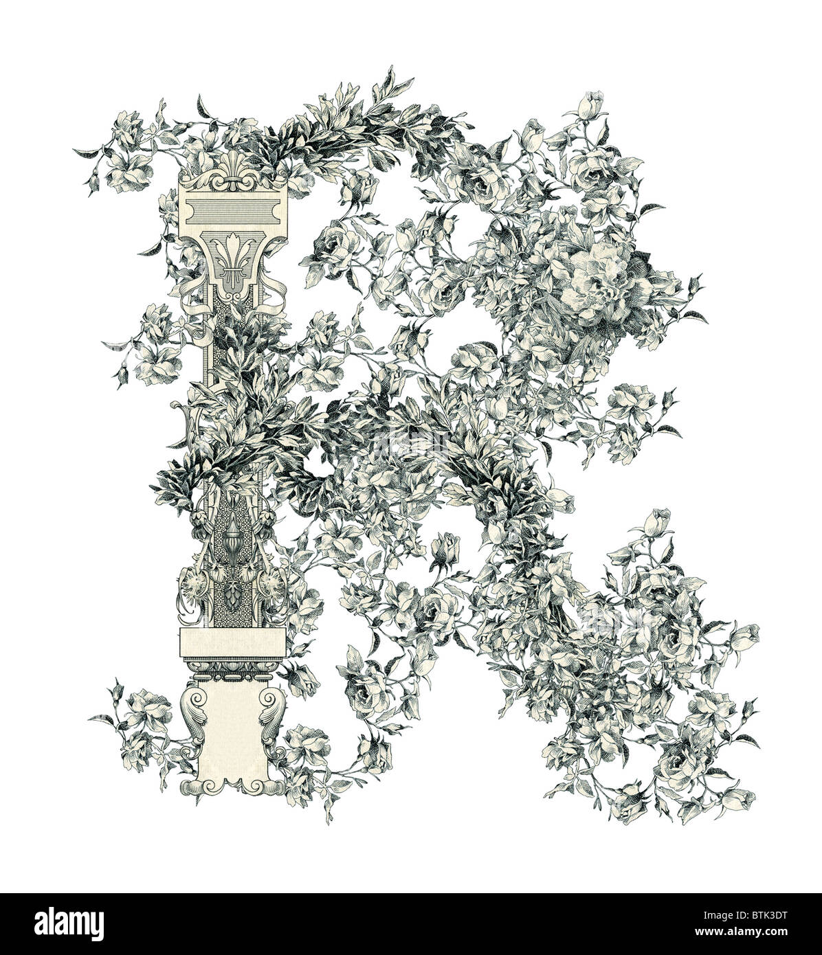Luxuriously illustrated old capital letter R with flowers Stock Photo ...