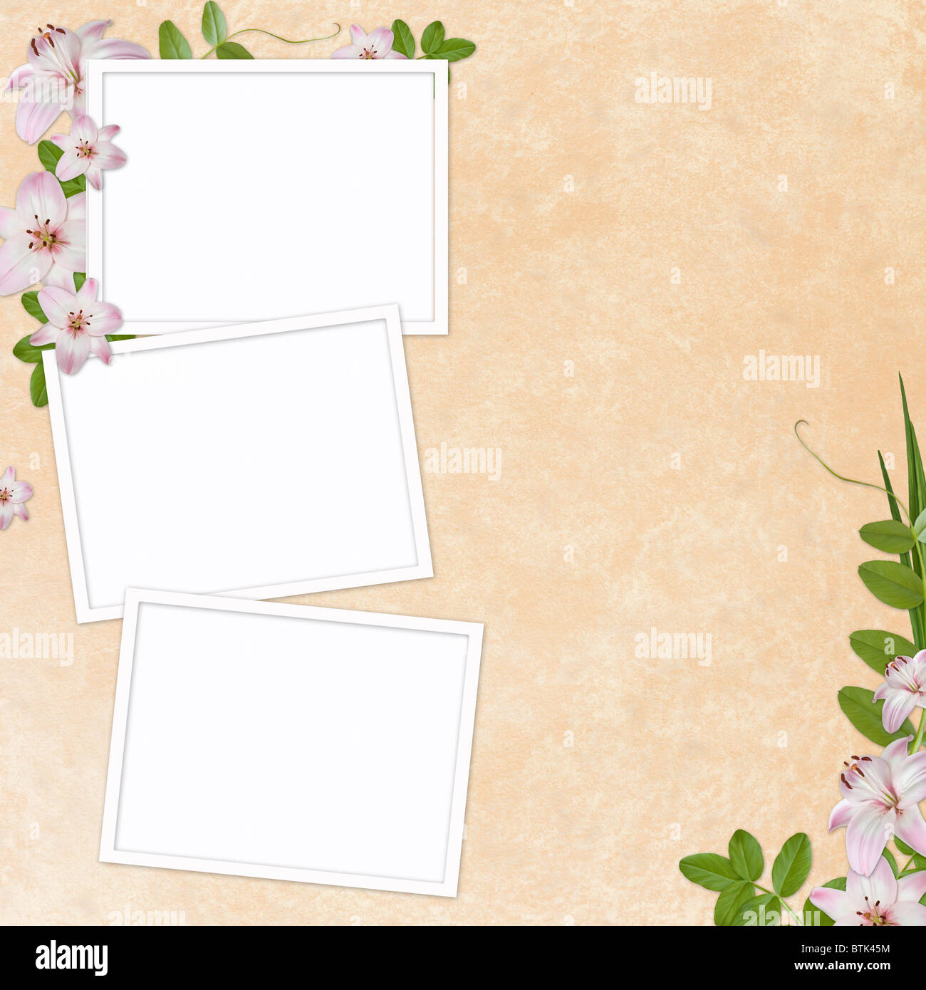Summer background with frame Stock Photo - Alamy