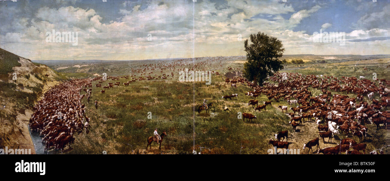 Cowboy, rounding up herd, panoramic photo of cowboys on horseback ...
