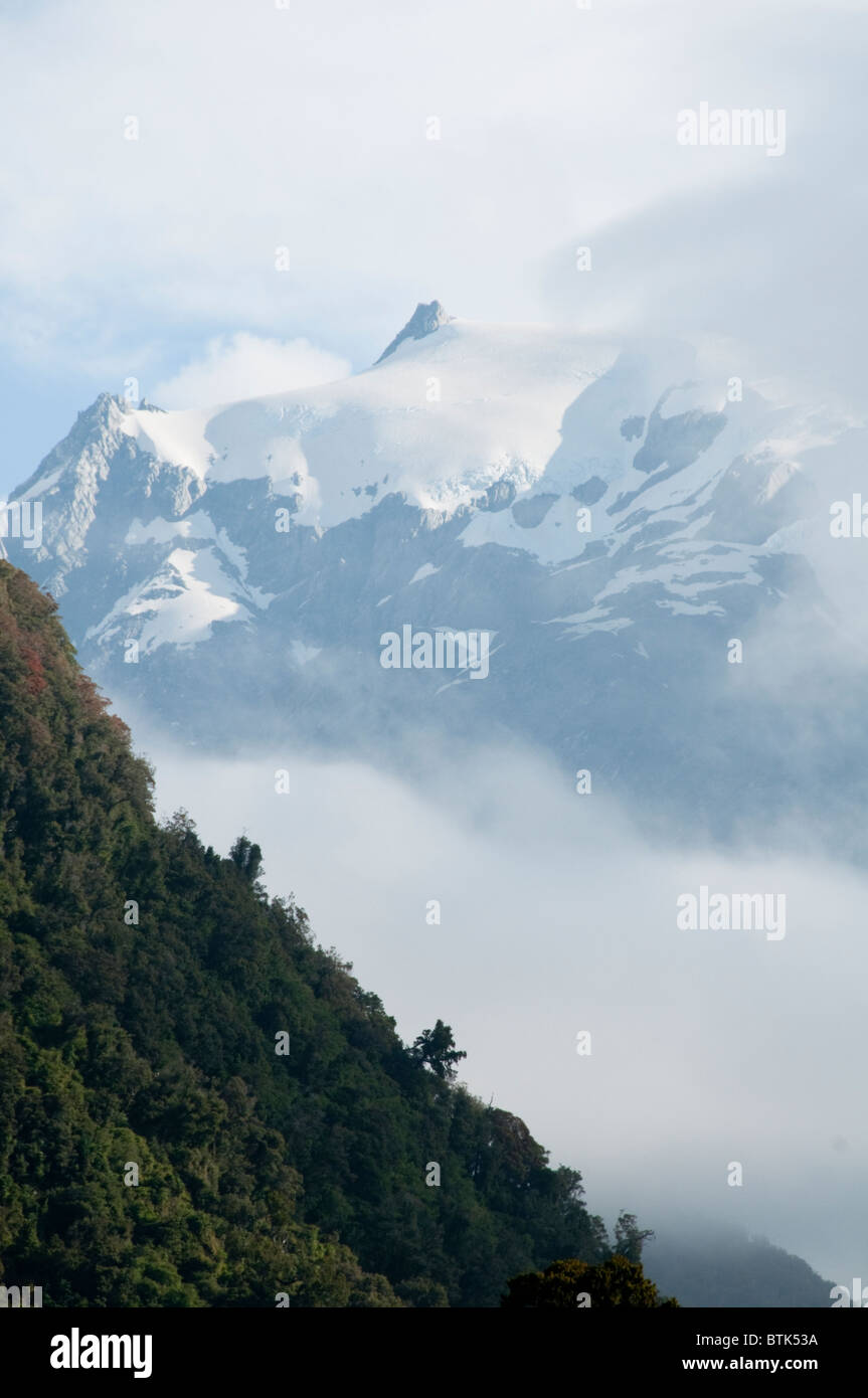 Franz Josef,Town,Snow Capped Peaks of Southern Alps, Rata Trees in ...