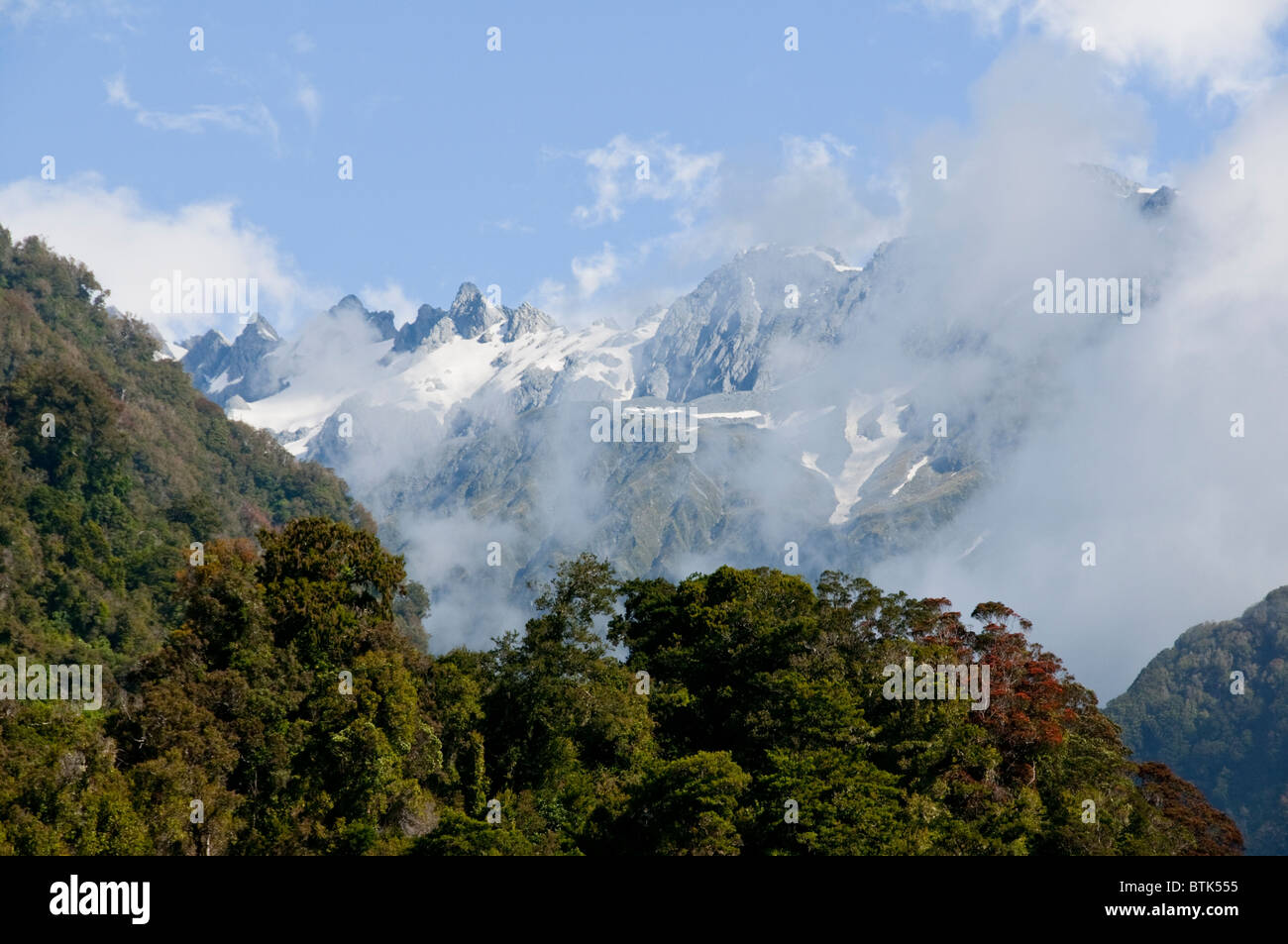 Franz Josef,Town,Snow Capped Peaks of Southern Alps, Rata Trees in ...