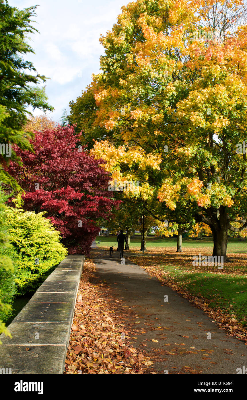 Trees On Stray Harrogate In Stock Photos & Trees On Stray Harrogate In ...