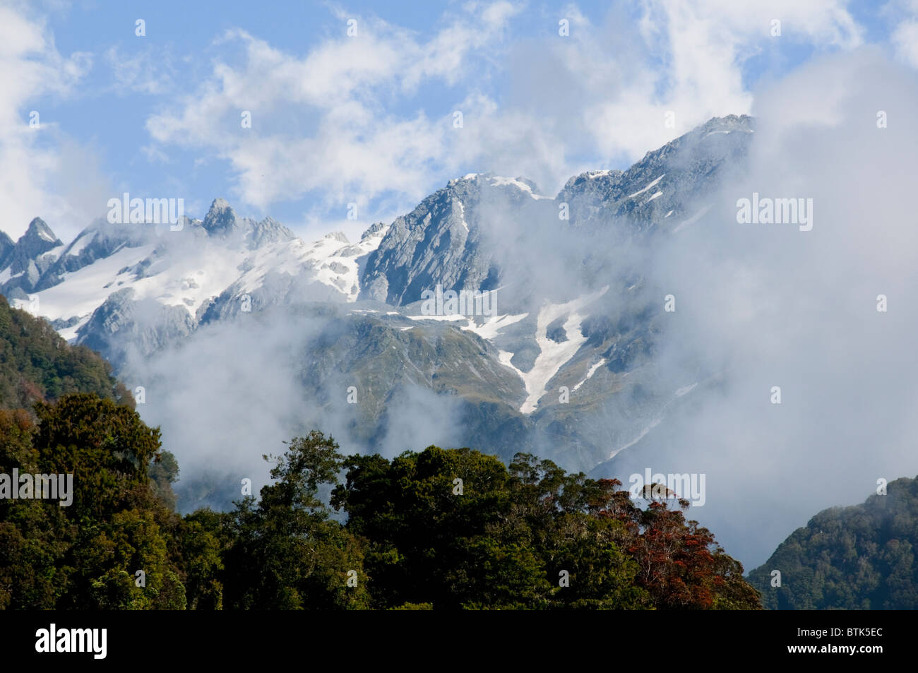 Franz Josef,Town,Snow Capped Peaks of Southern Alps, Rata Trees in ...