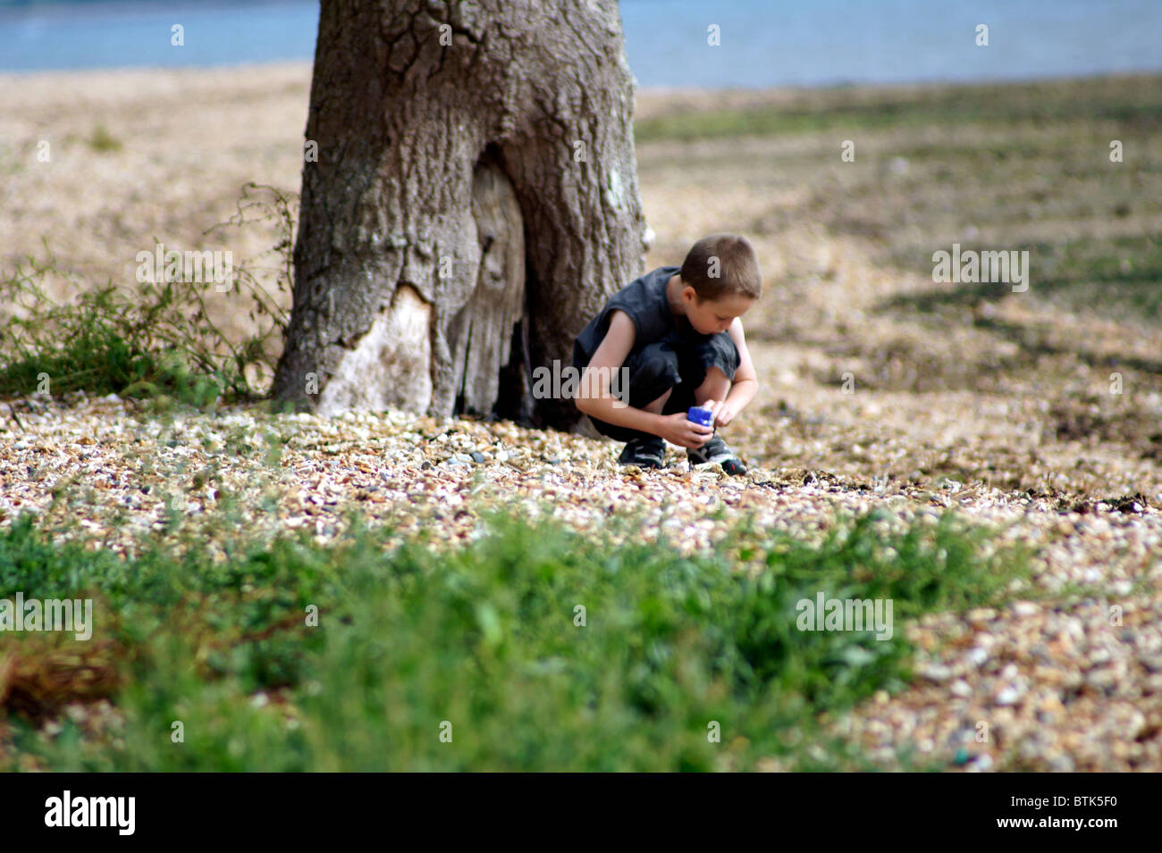 ON THE BEACH SHELL COLLECTING Stock Photo - Alamy