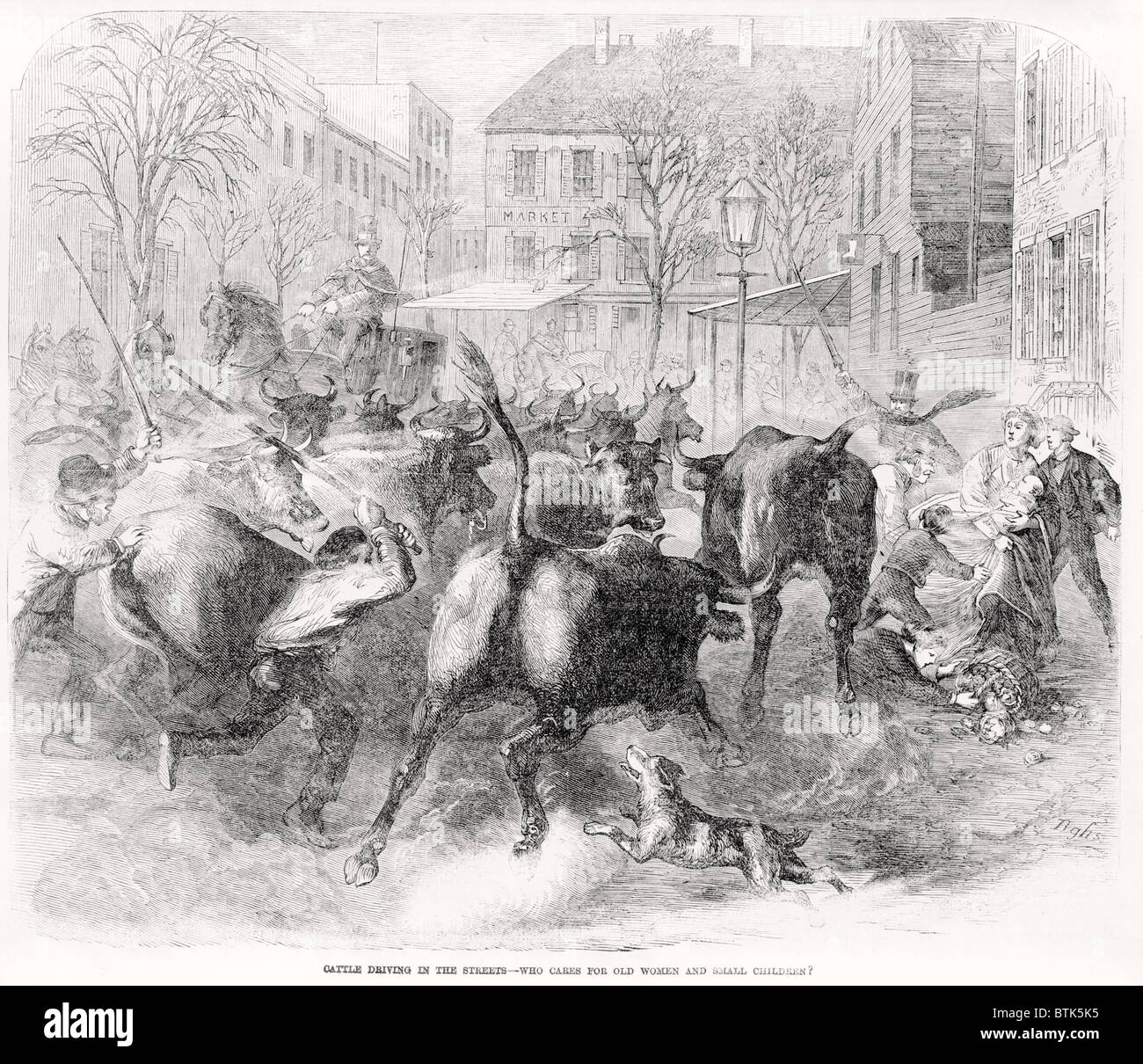 Cattle Drive Historical High Resolution Stock Photography and Images ...