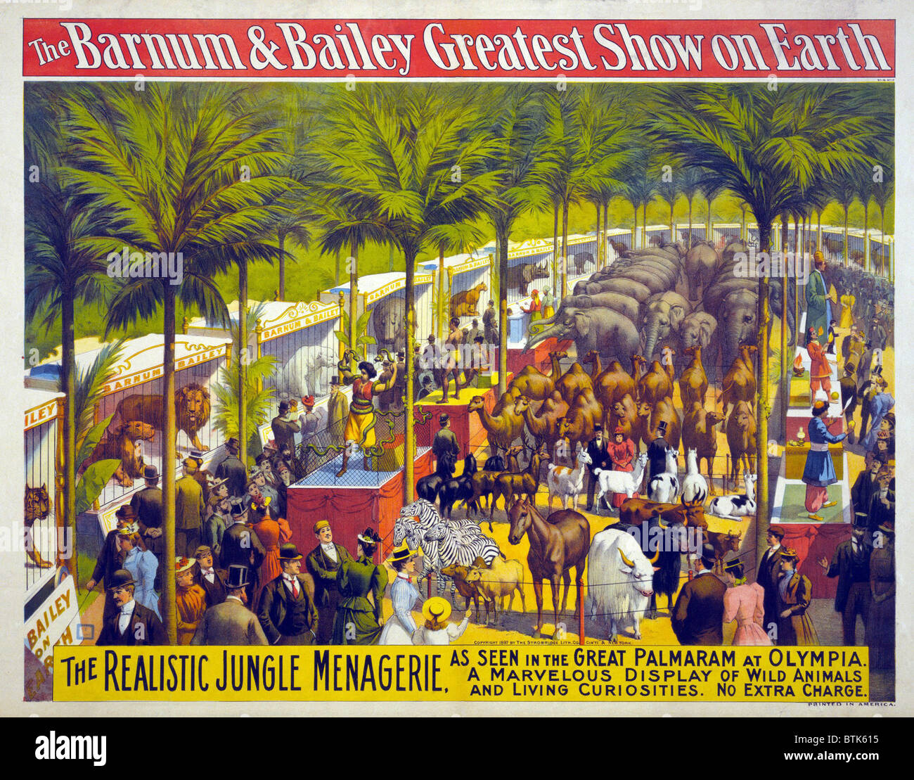 Poster for Barnum & Bailey circus showing animals on display and ...