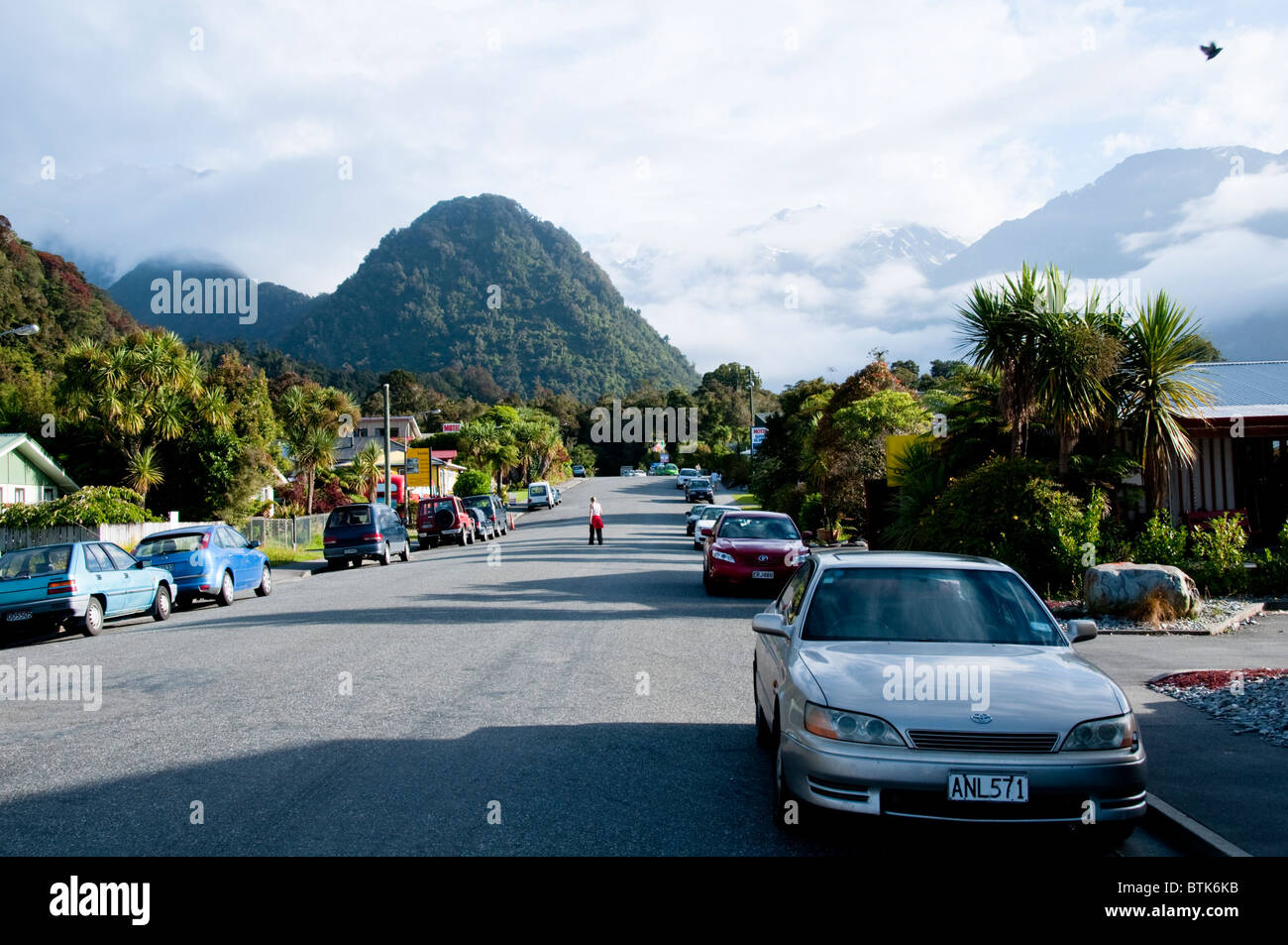 Franz Josef,Town,Snow Capped Peaks of Southern Alps, Rata Trees in ...
