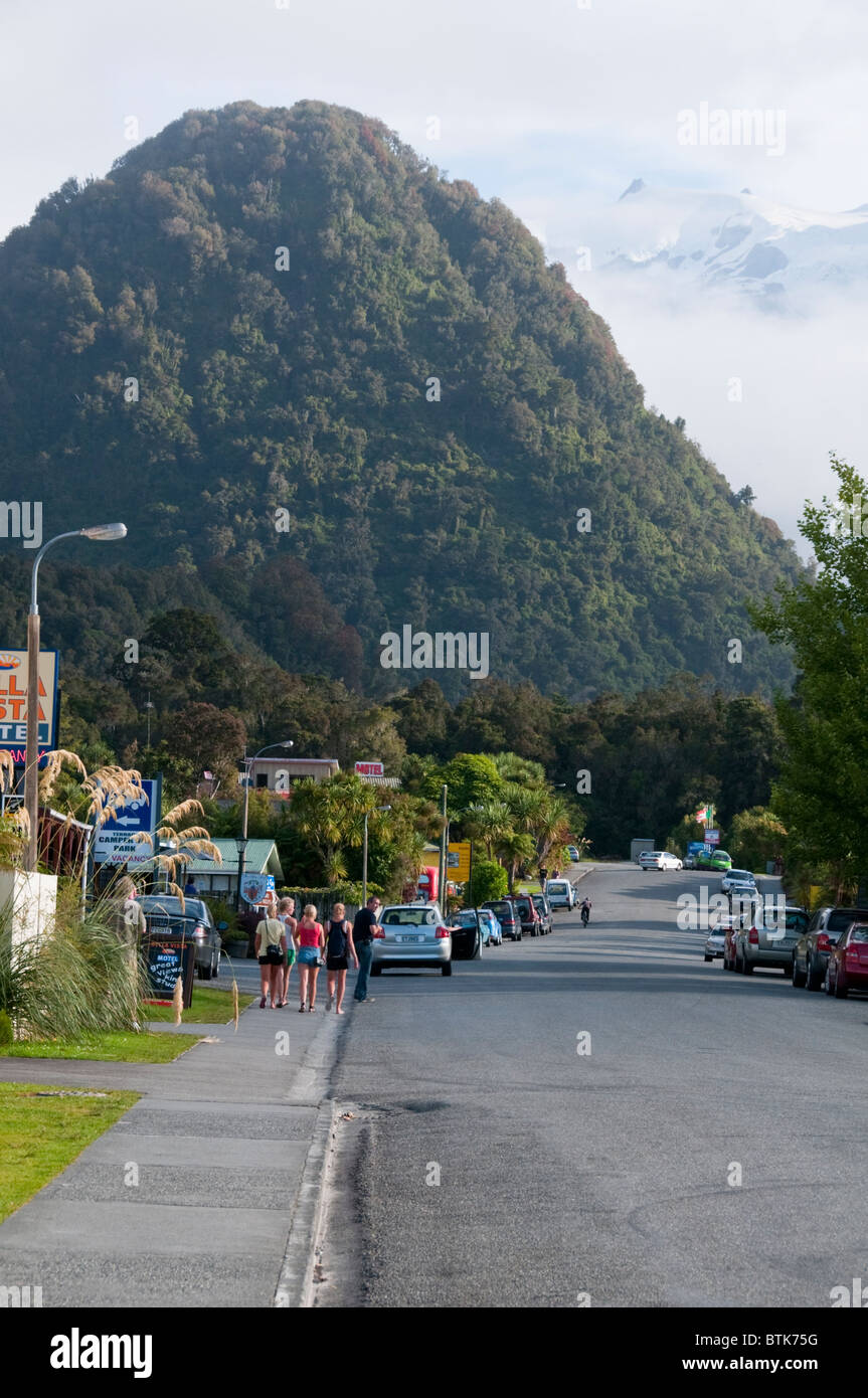 Franz Josef,Town,Snow Capped Peaks of Southern Alps, Rata Trees in ...
