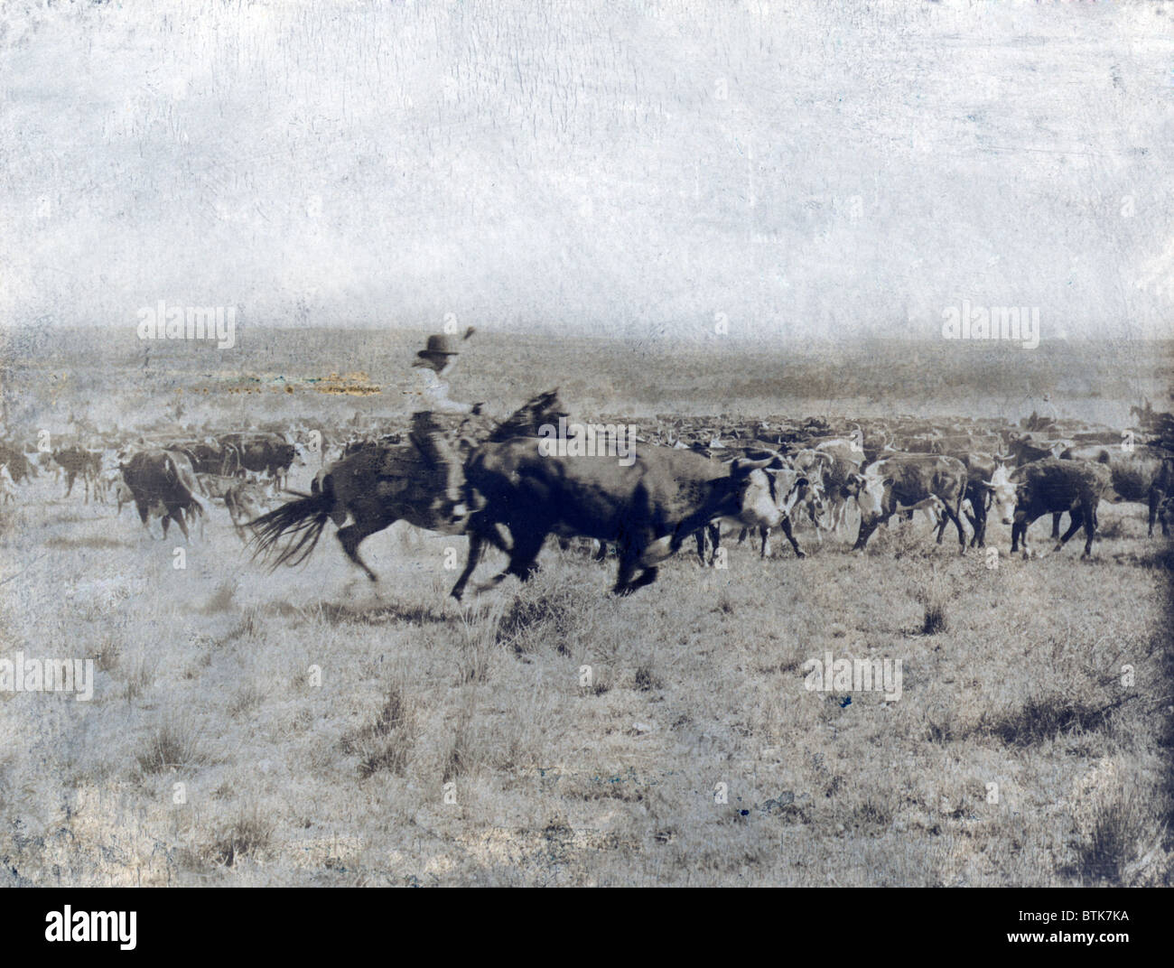 Cattle drive historical hi-res stock photography and images - Alamy
